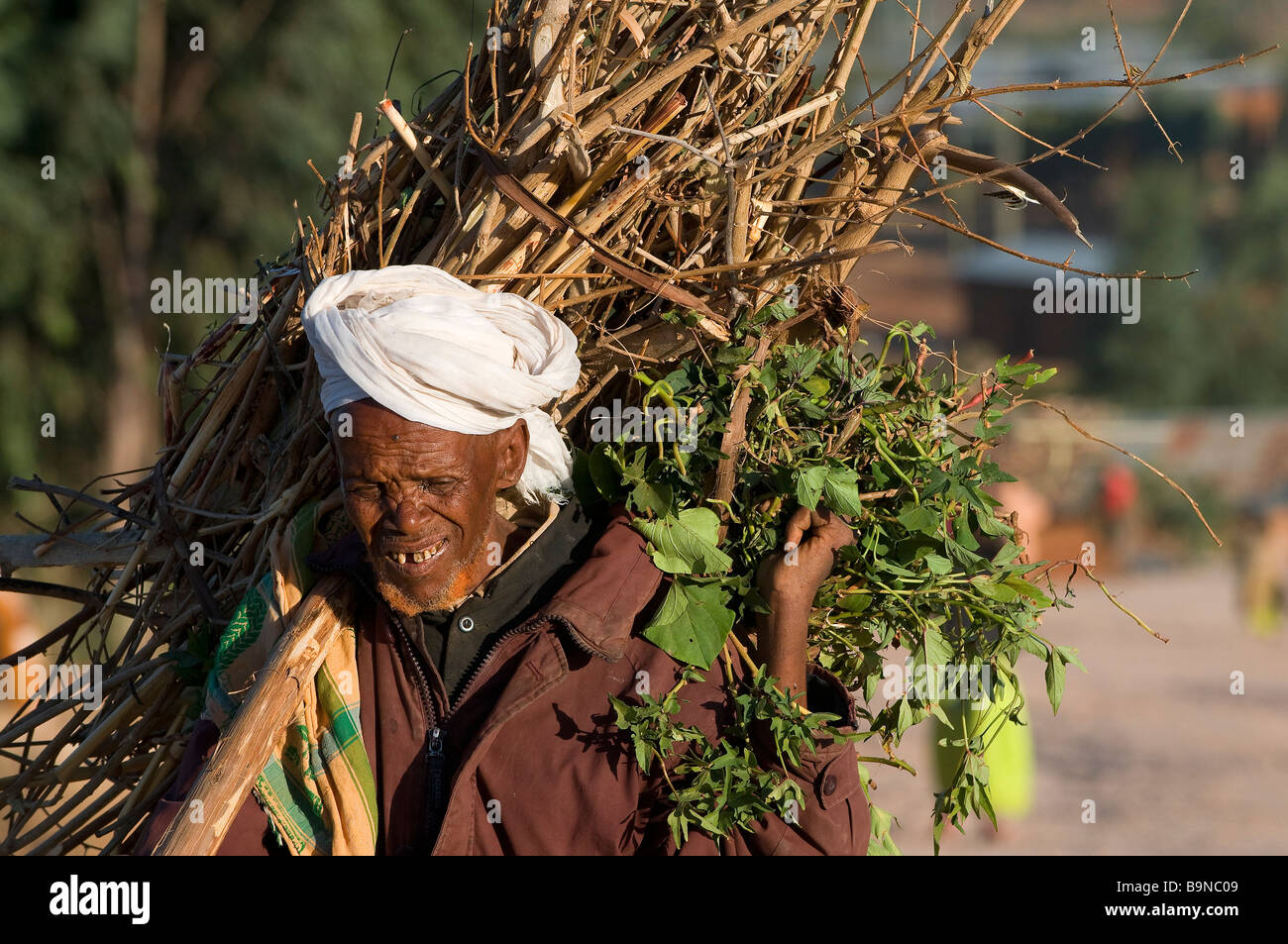 Ethiopia, Harar, town classified as World Heritage by UNESCO around the ...