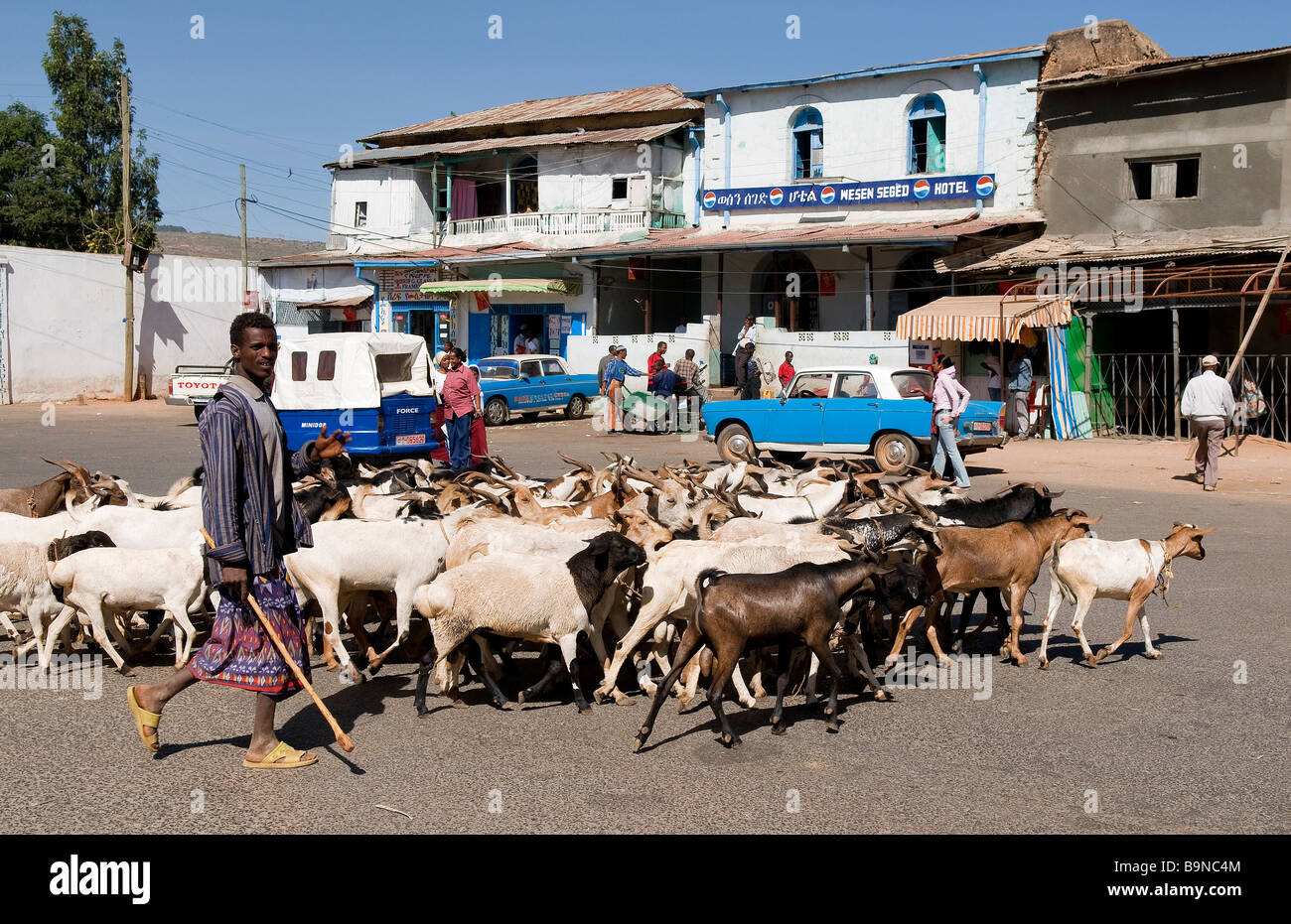 Ethiopia, Harar, town classified as World Heritage by UNESCO, instead ...