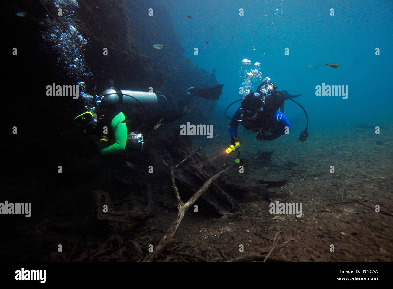 Scuba divers explore Prata river, Bonito, Mato Grosso do Sul, South ...