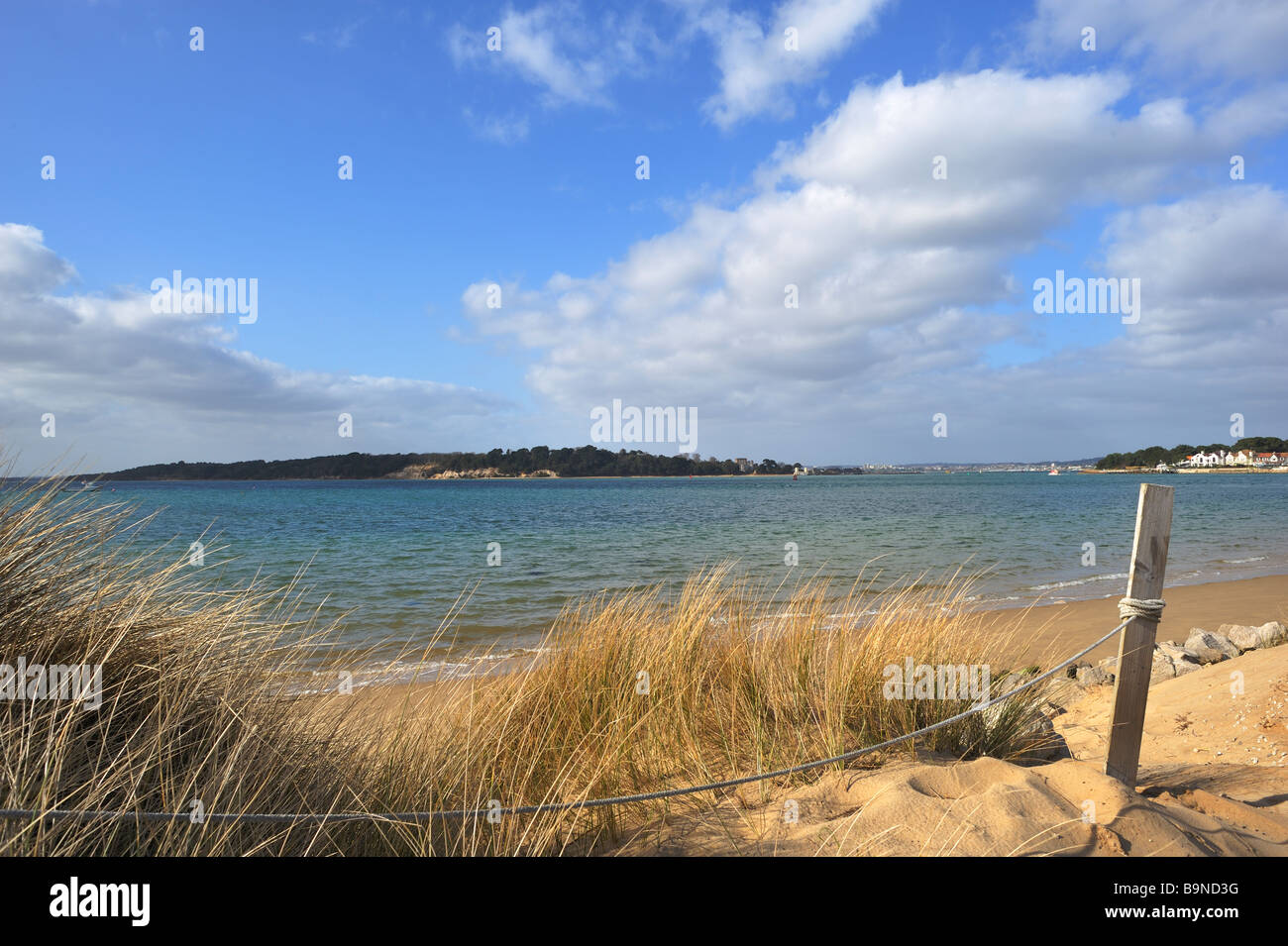 Studland bay beach hi-res stock photography and images - Alamy