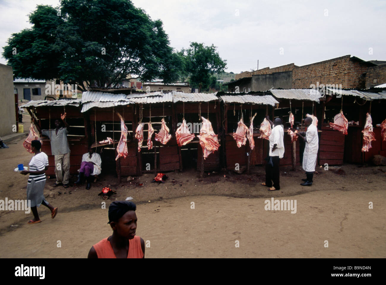 Butcher of uganda hi-res stock photography and images - Alamy