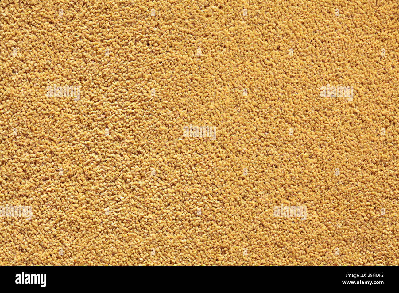 Carpet background hi-res stock photography and images - Alamy
