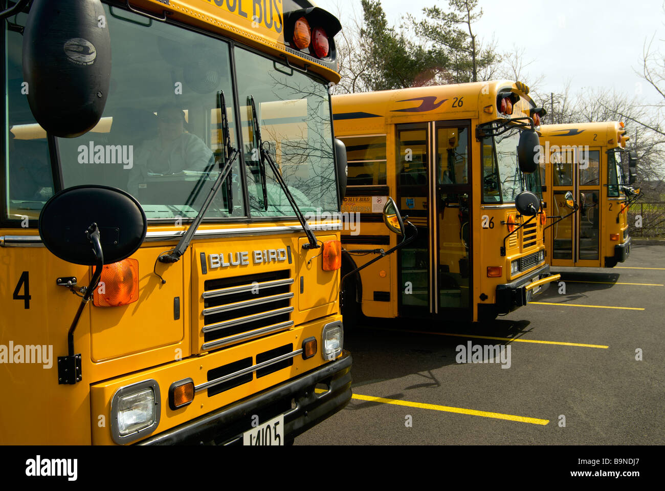 school buses ready to take children home from school Stock Photo - Alamy
