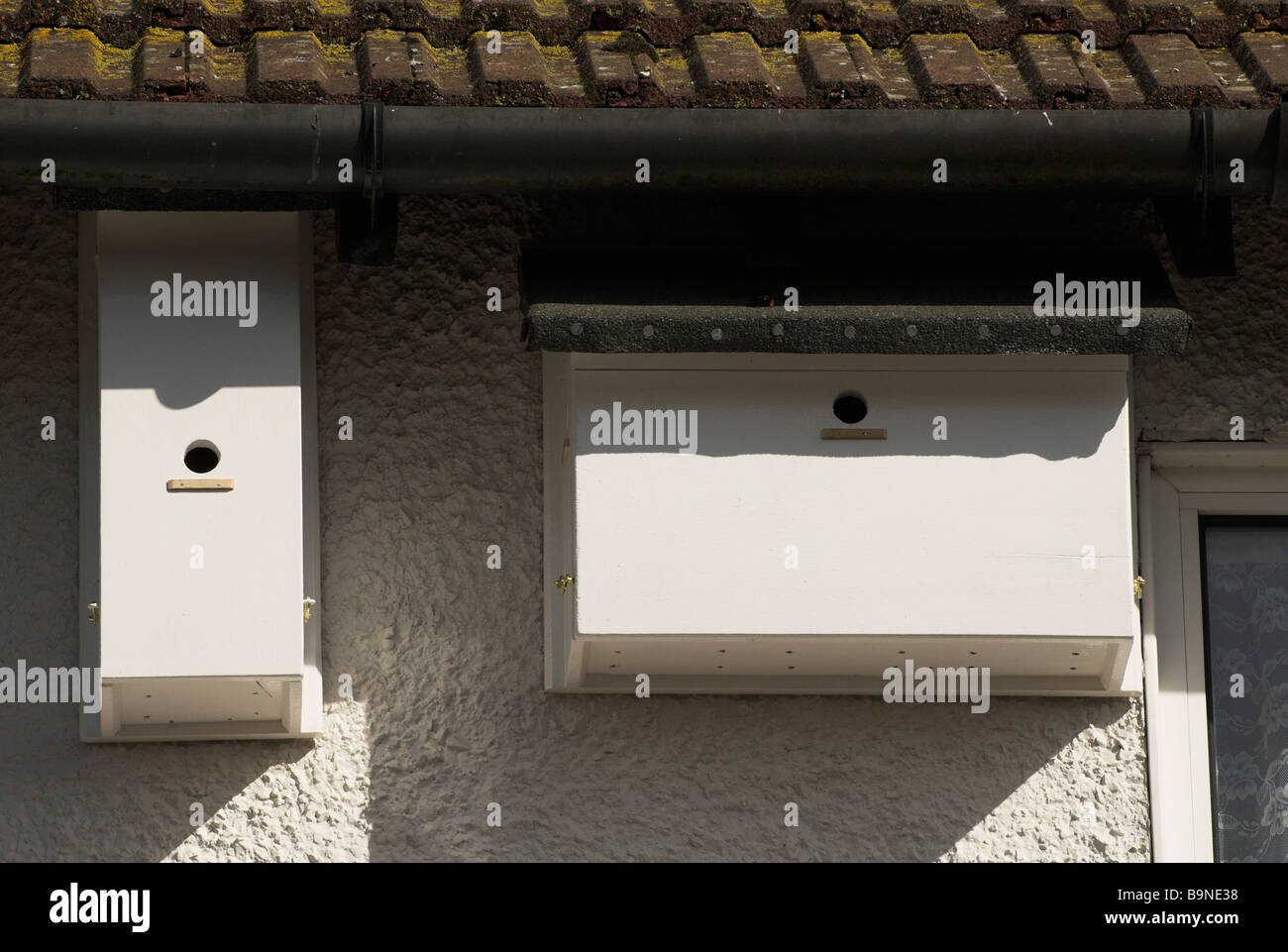 Custom built Sparrow boxes Stock Photo - Alamy