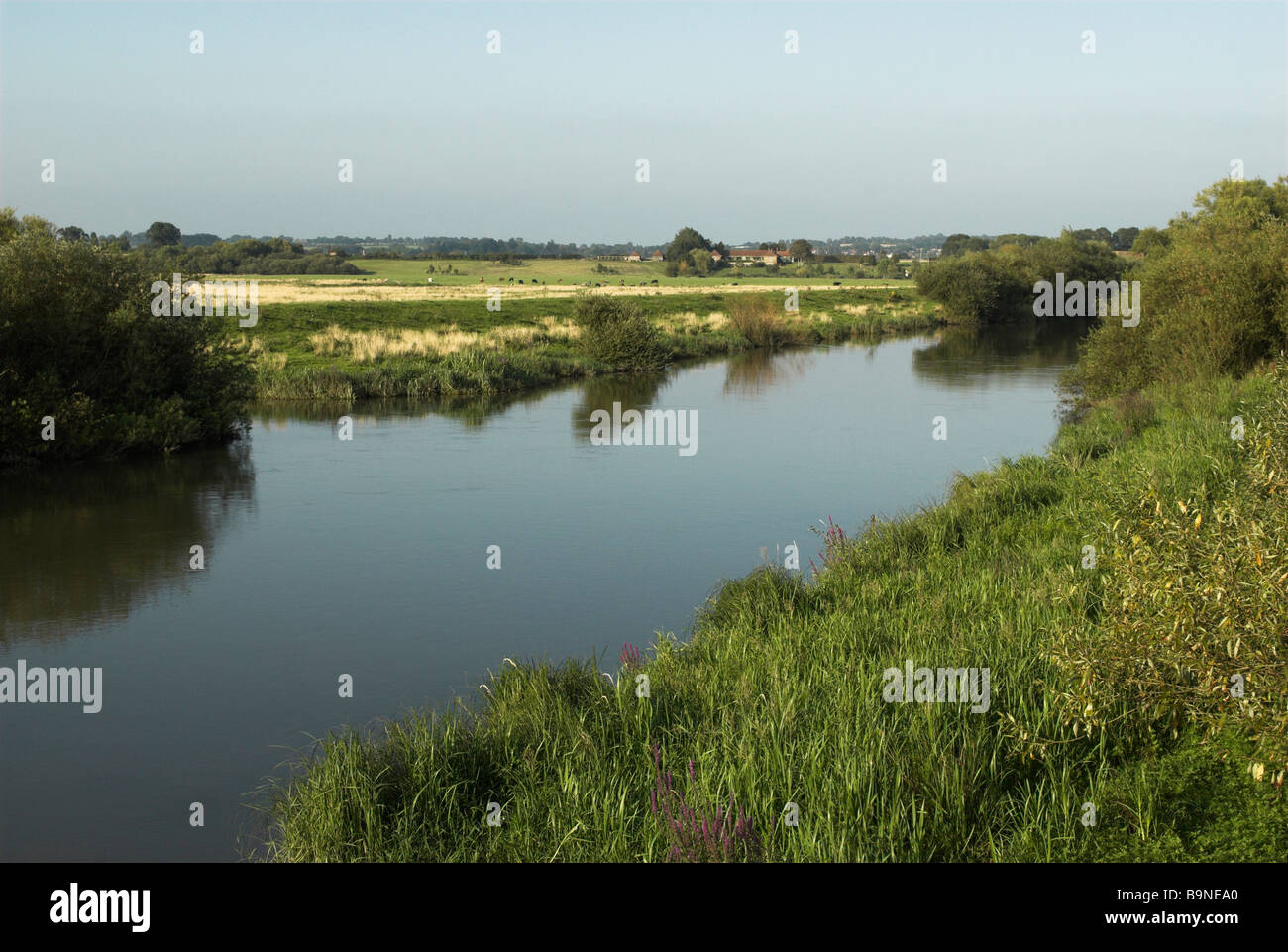 The River Arun near Greatham Bridge in West Sussex Stock Photo - Alamy