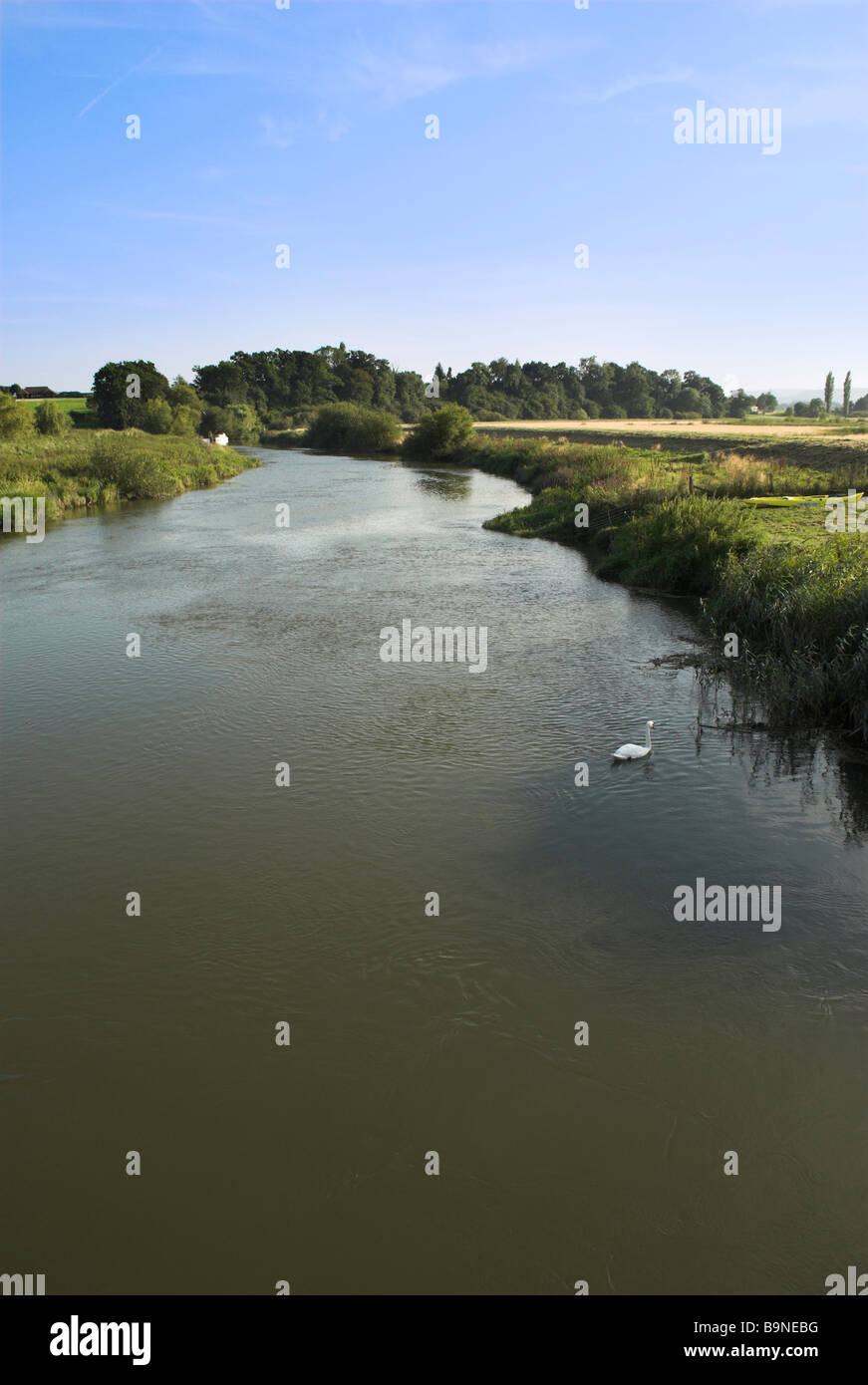Greatham bridge hi-res stock photography and images - Alamy
