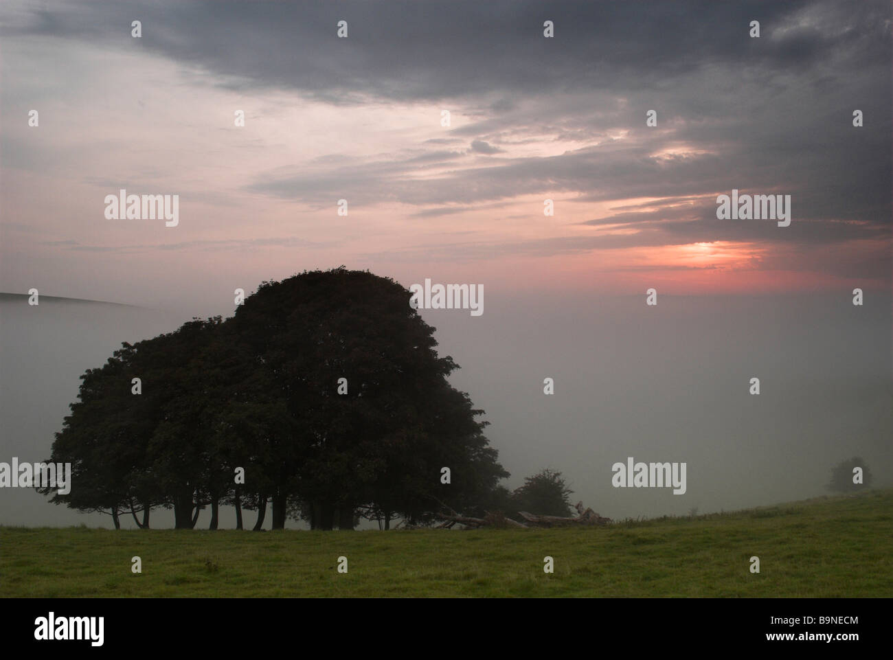 Storm clouds gather at dawn on a misty South Downs in West Sussex Stock ...