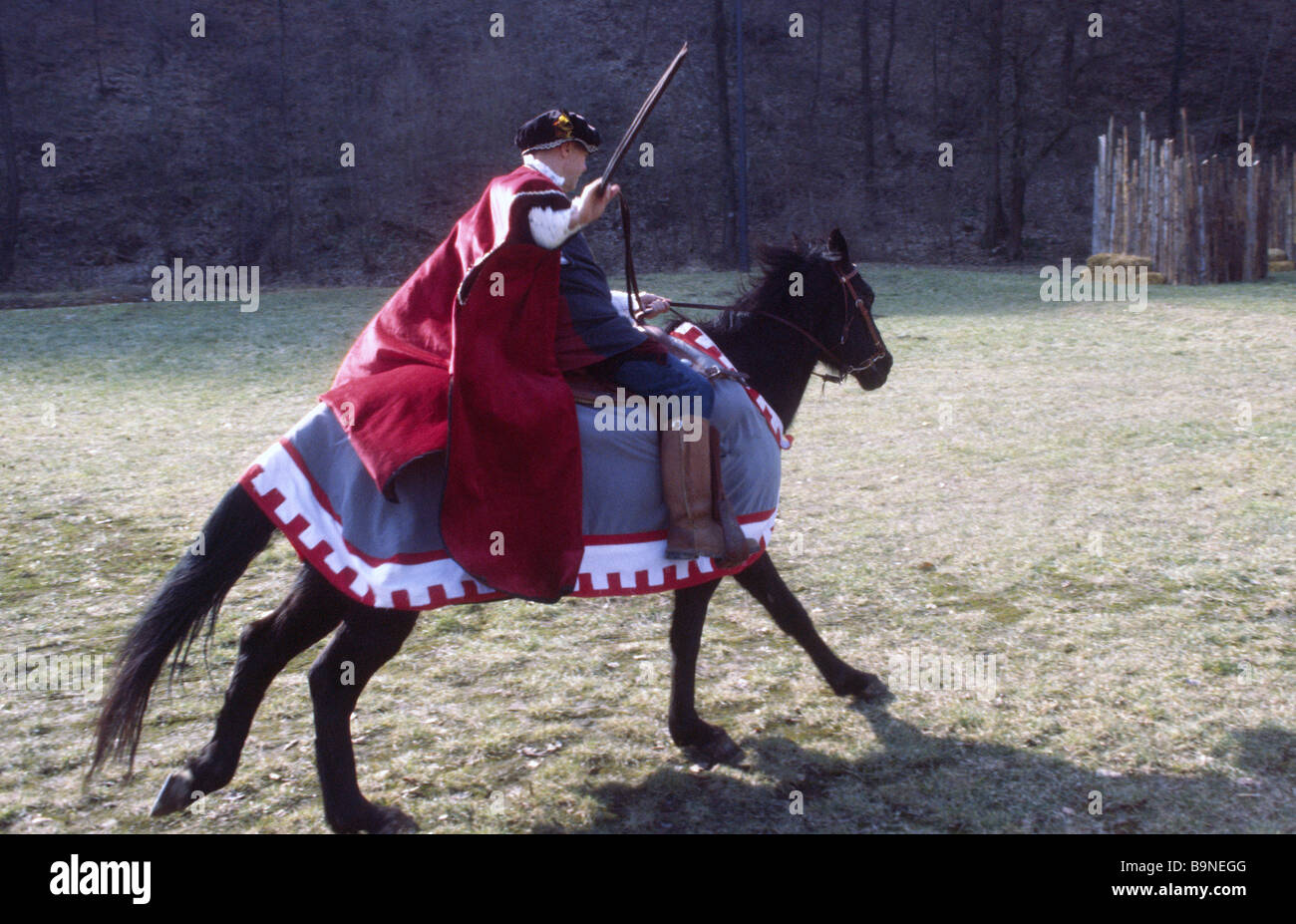 Renaissance man hi-res stock photography and images - Alamy