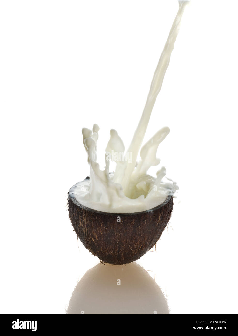 Coco and milk Isolation on the white Stock Photo - Alamy