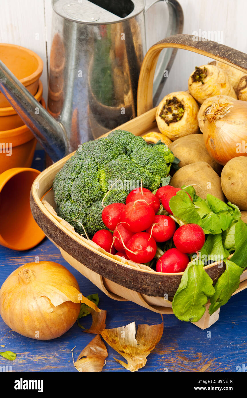 Still life of organic seasonal British vegetables in trug Stock Photo ...