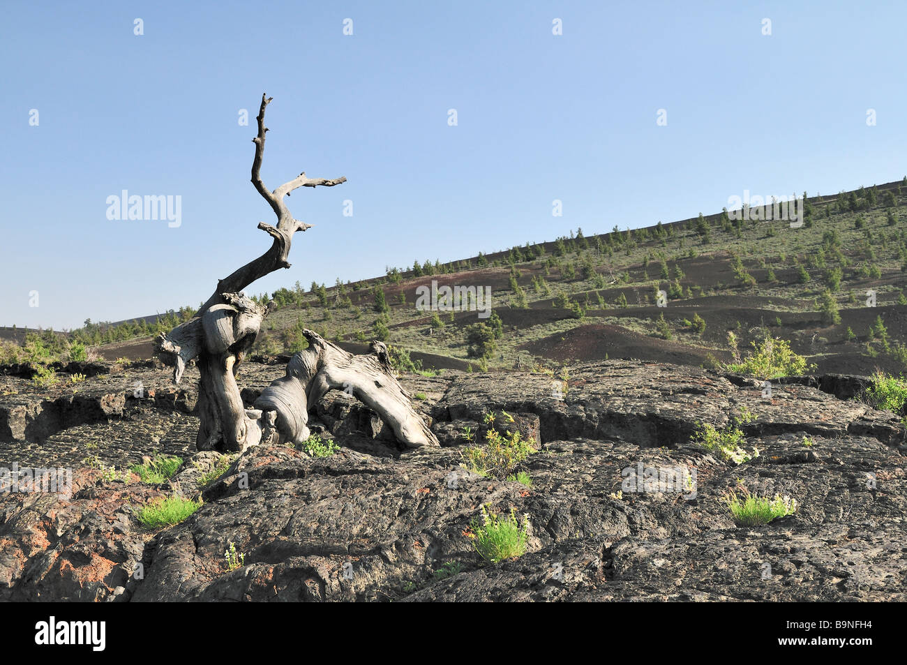 Ancient volcanic field hi-res stock photography and images - Alamy