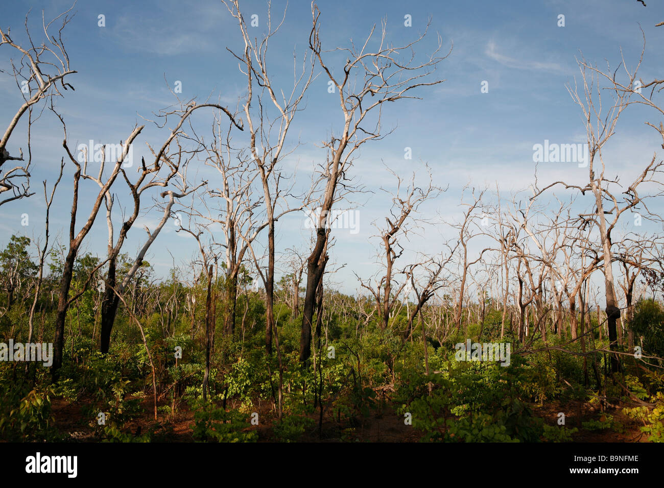 Garig Gunak Barlu National Park on the Cobourg Peninsula, Arnhem Land ...