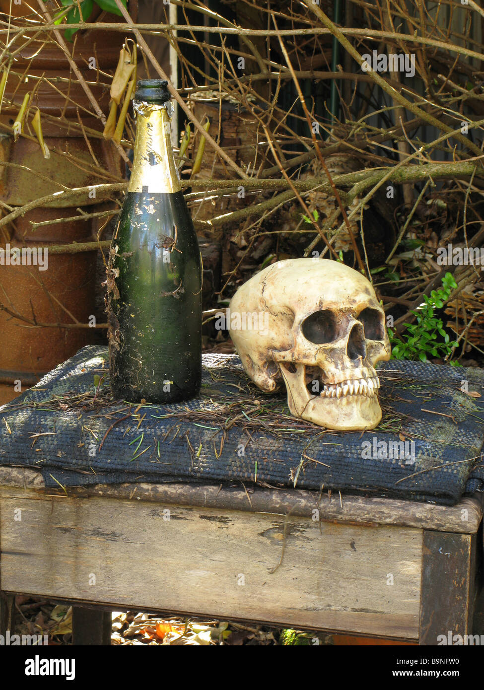 Drunk skull hi-res stock photography and images - Alamy