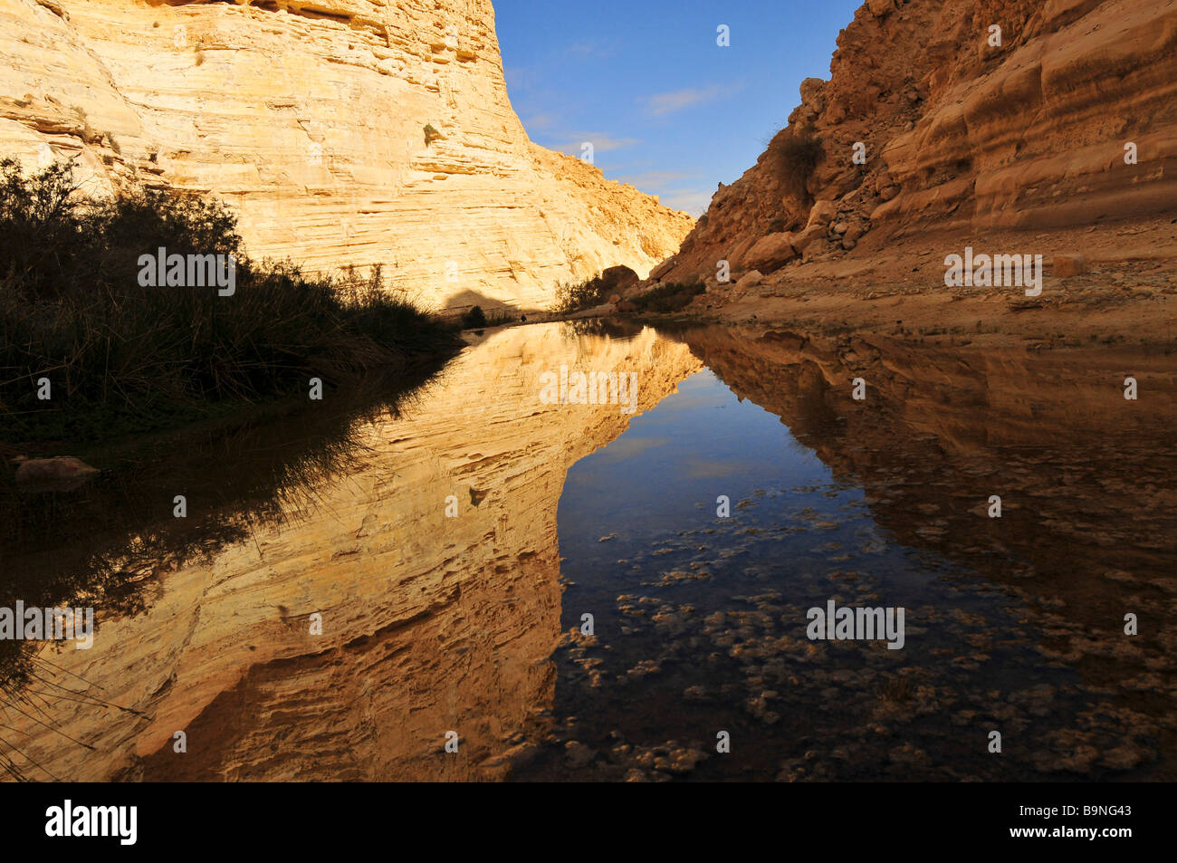 Israel Negev Ein Avdat natural water spring in Wadi Tzin Stock Photo ...