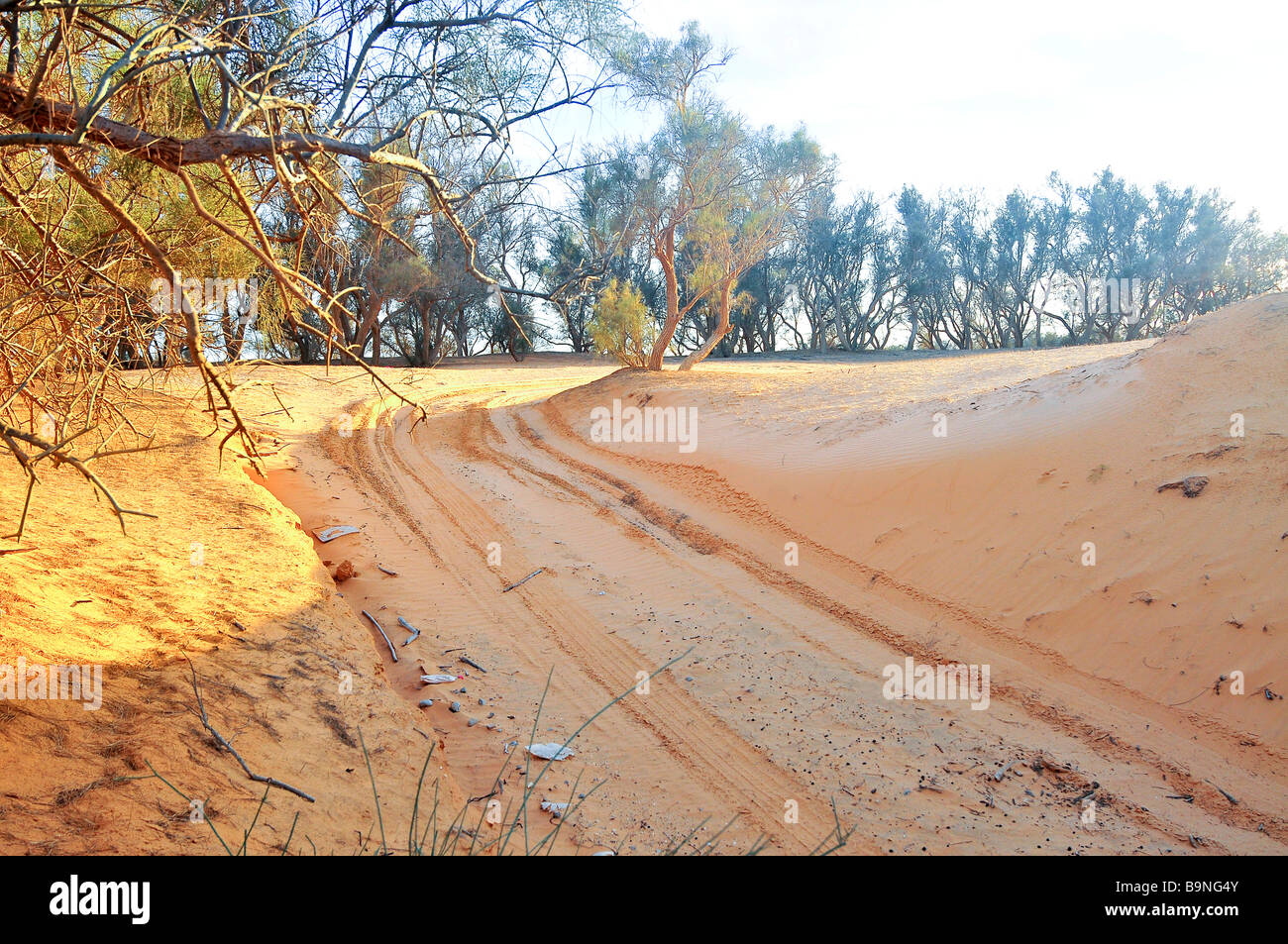 Israel Negev Desert Sand Dune Stock Photo - Alamy