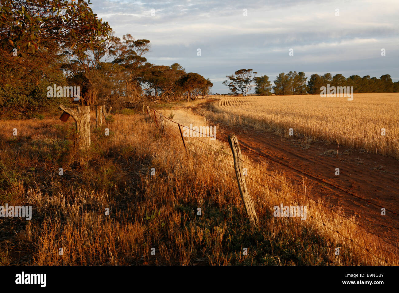 Gawler ranges australia hi-res stock photography and images - Alamy