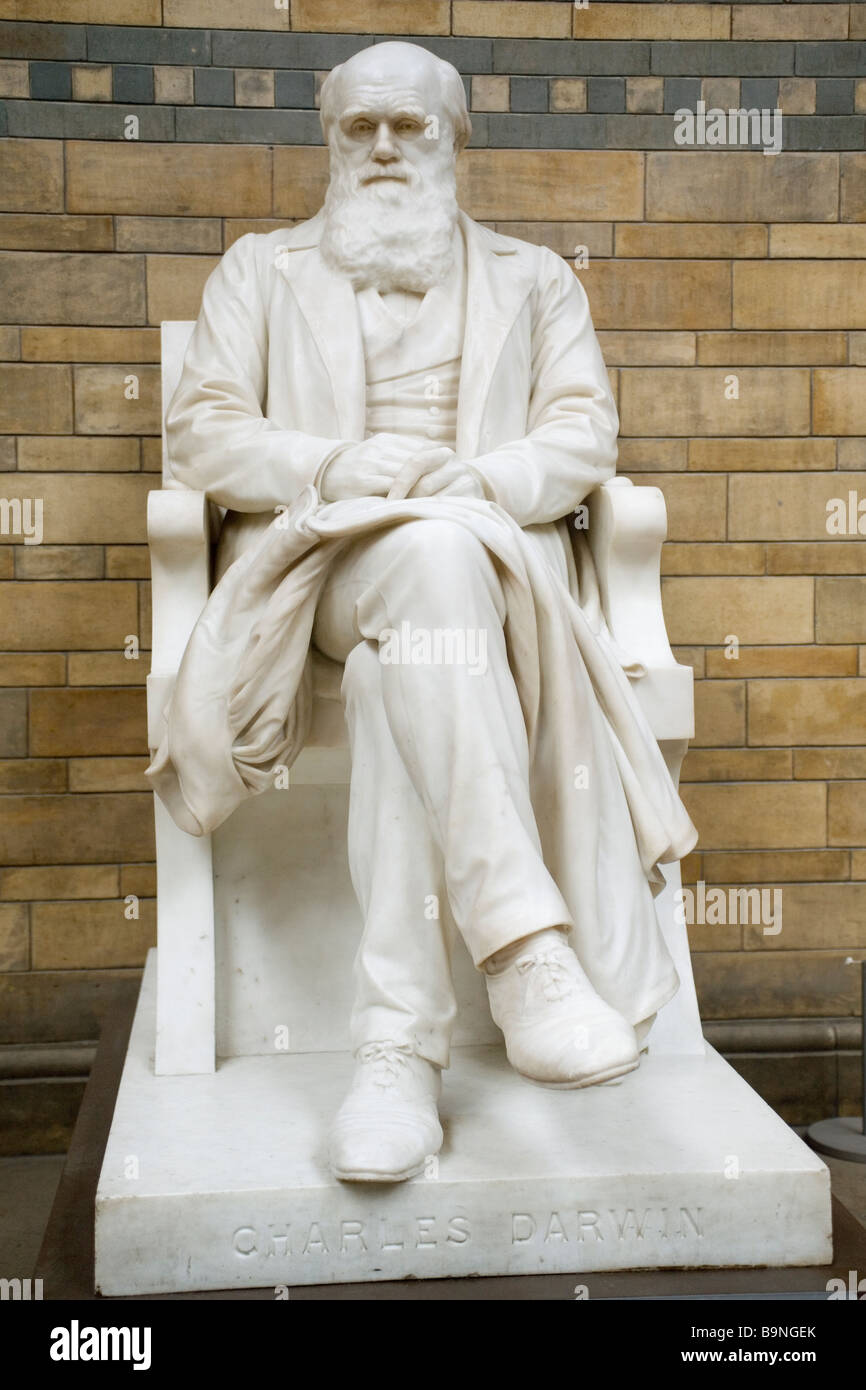 Charles Darwin statue in London's Natural History Museum Stock Photo ...
