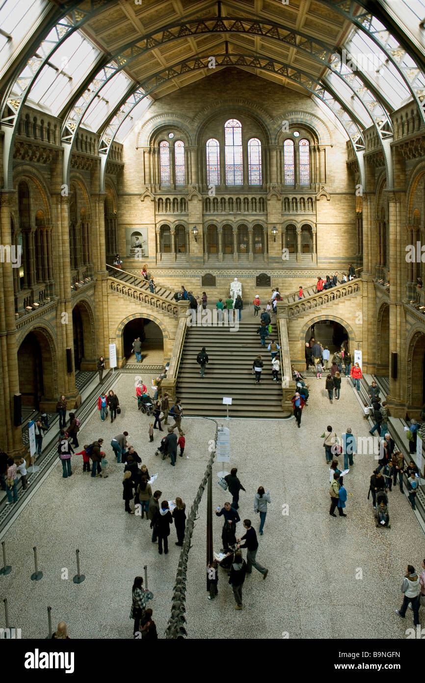 Natural history museum main hall hi-res stock photography and images ...