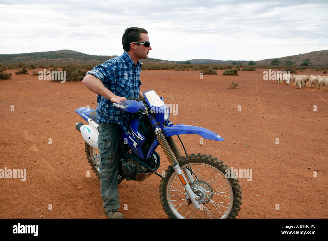 Sturdy farmer on motorbike, Mount Ive Station, Gawler Ranges Stock ...