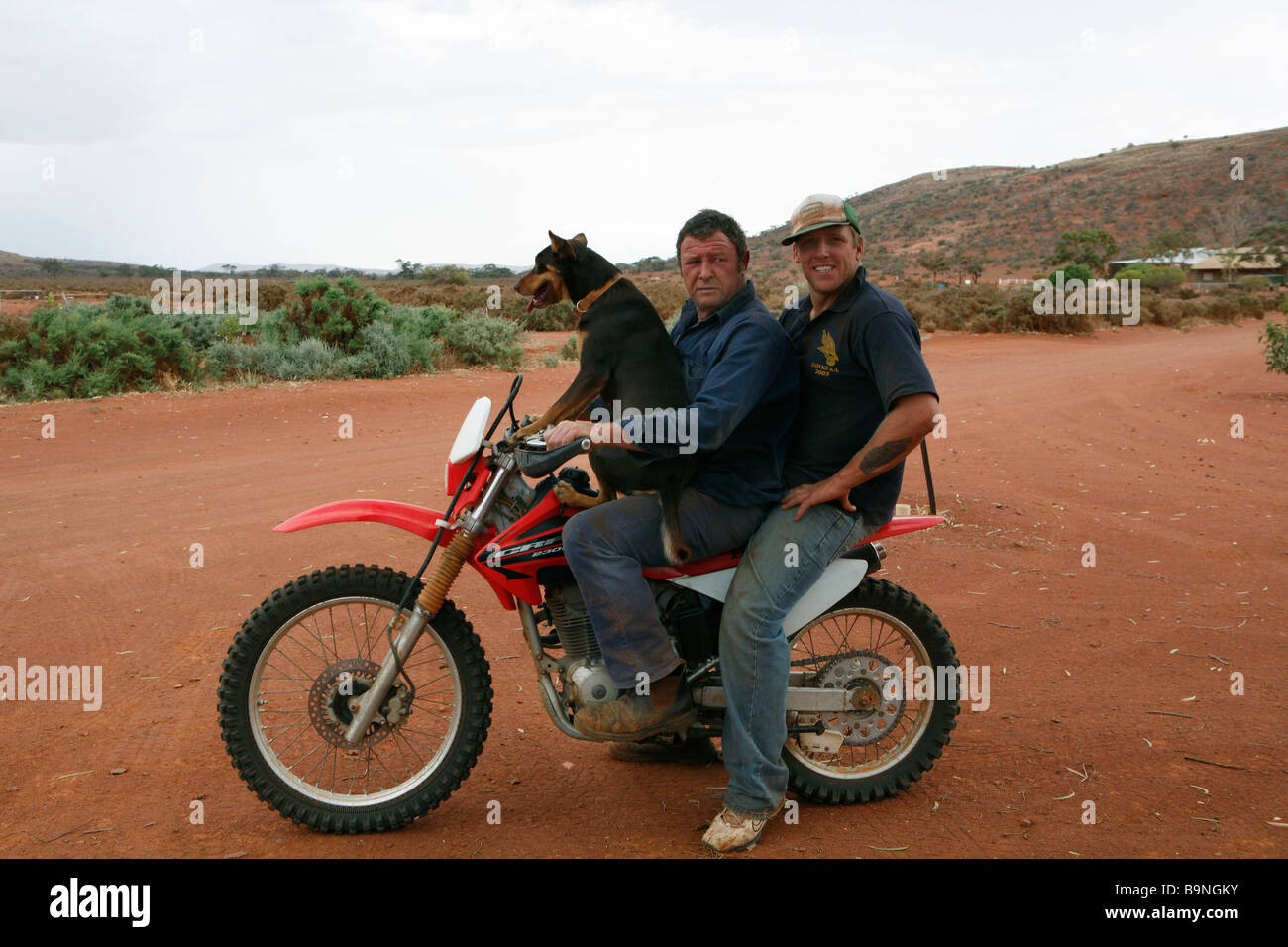 Australia sheep station hi-res stock photography and images - Alamy