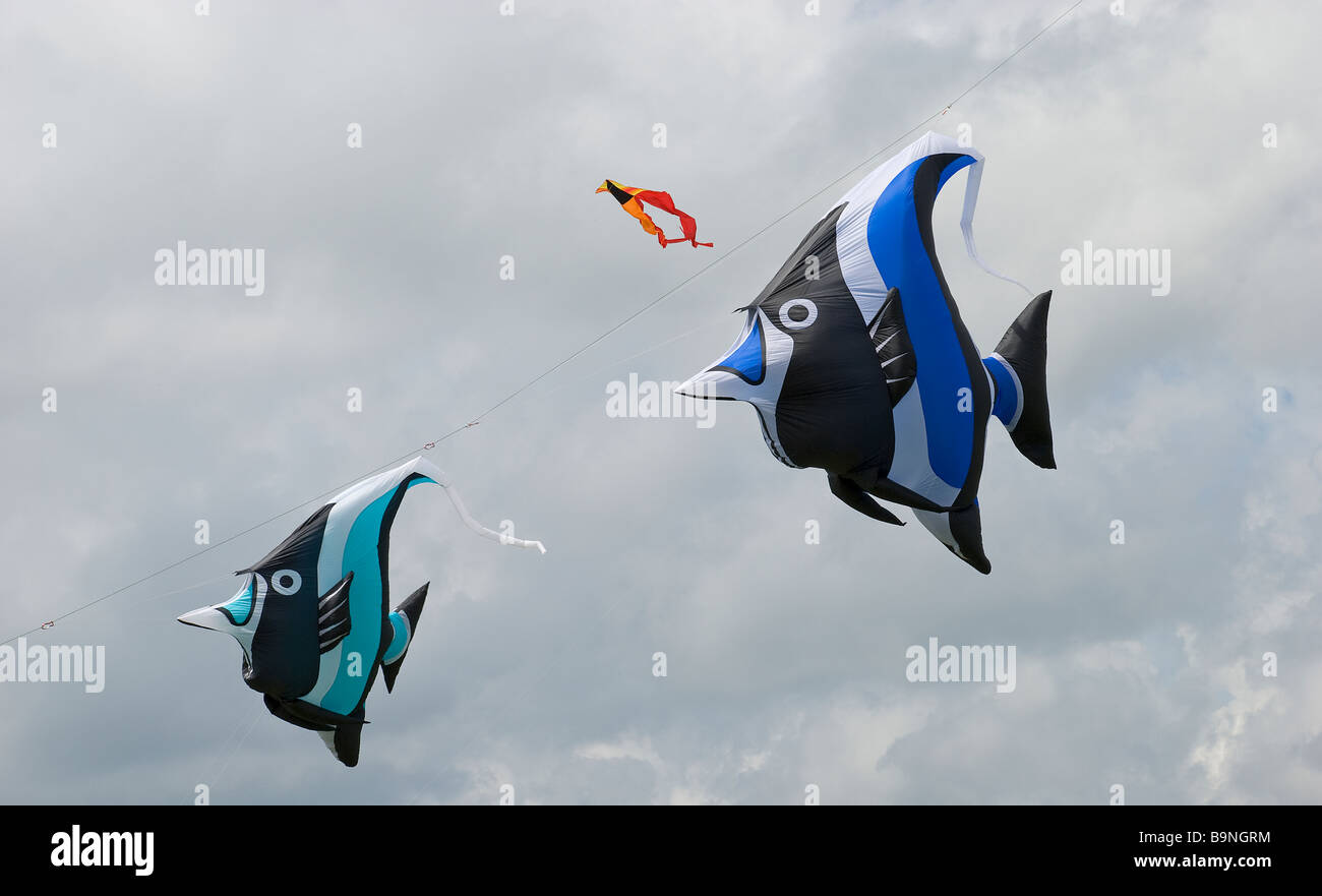 Fish shaped kites hi-res stock photography and images - Alamy