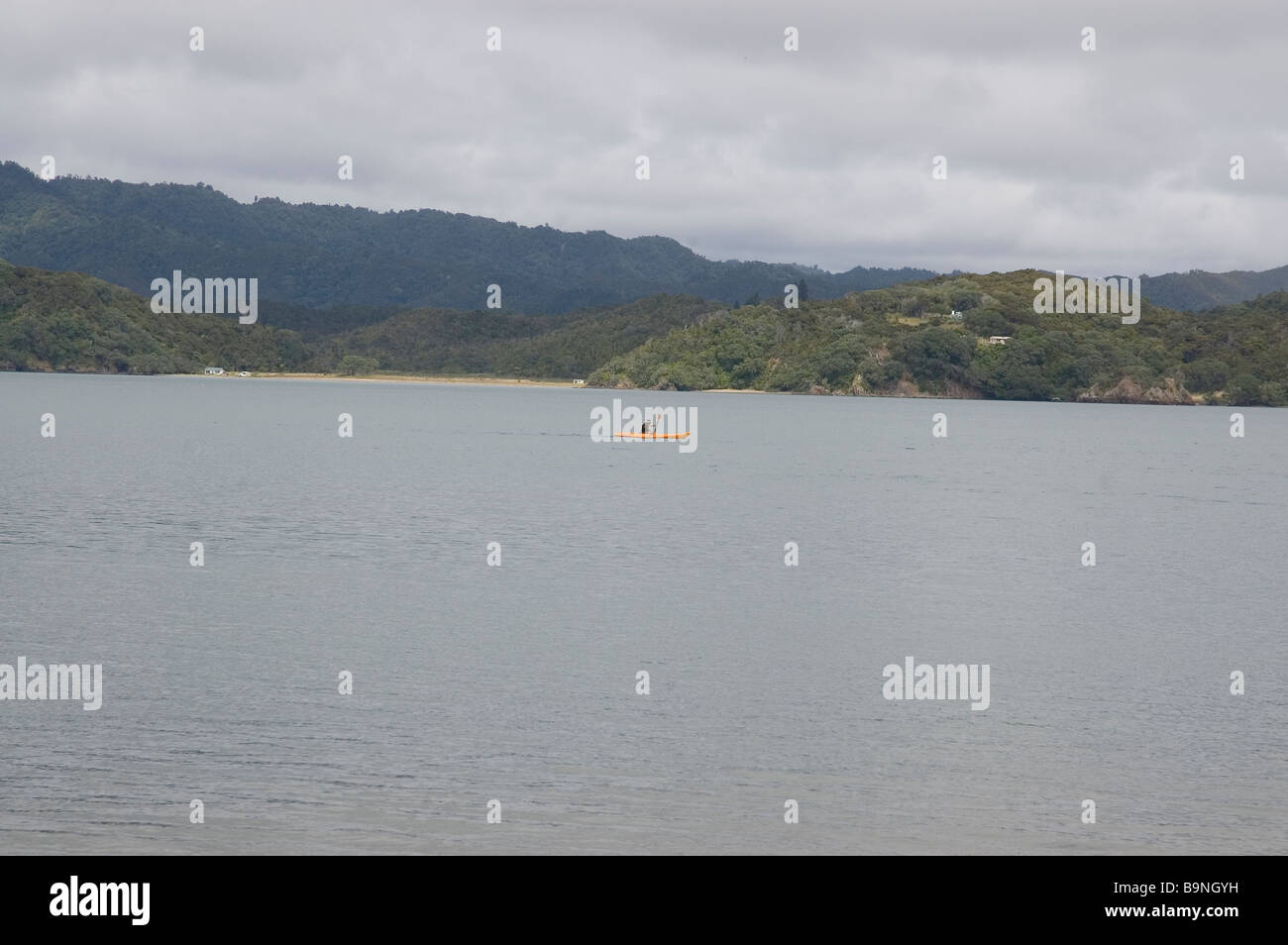 kayaking whangaruru harbour northland new zealand Stock Photo - Alamy