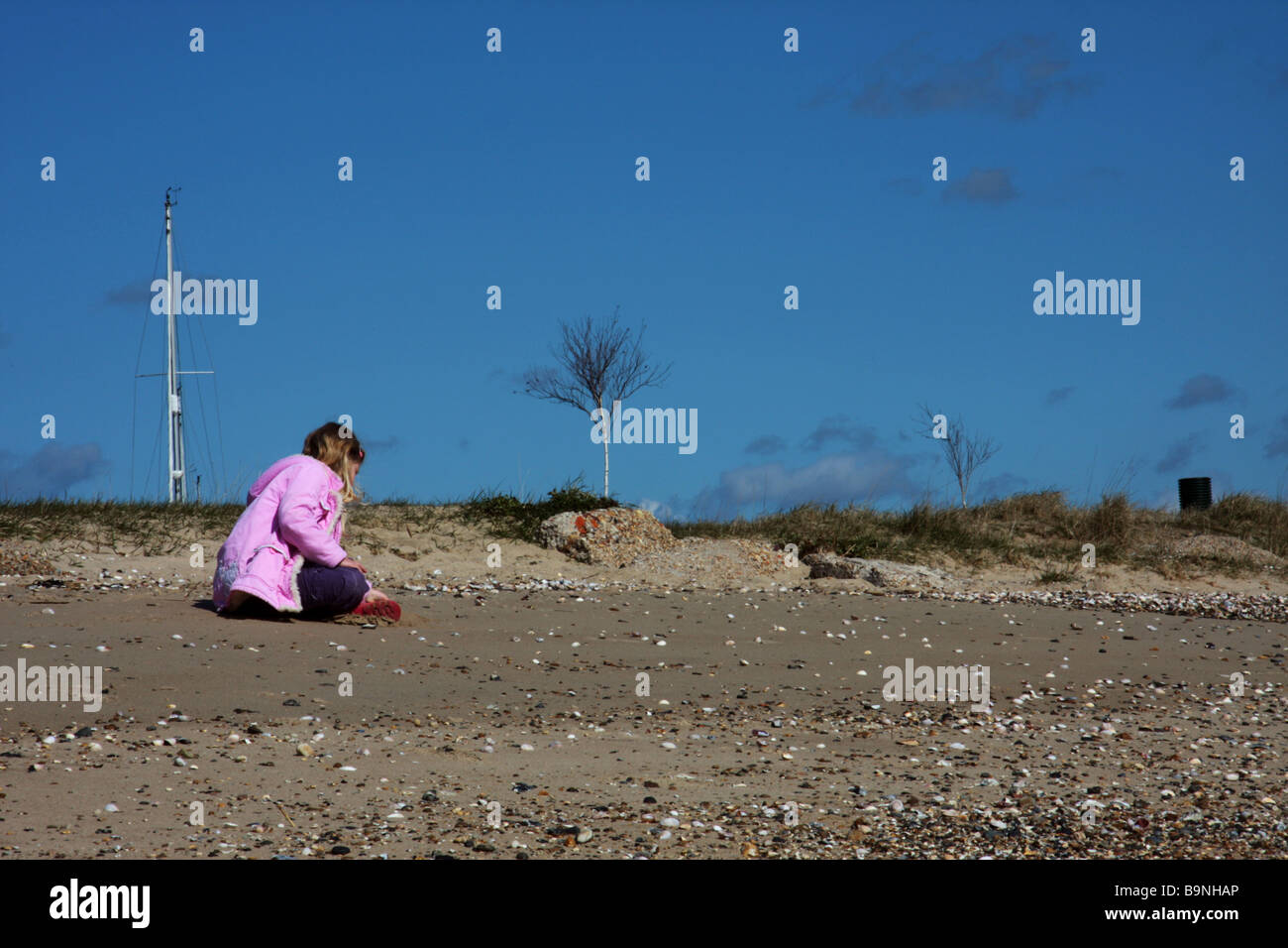 Child girl collecting sea shells hi-res stock photography and images ...