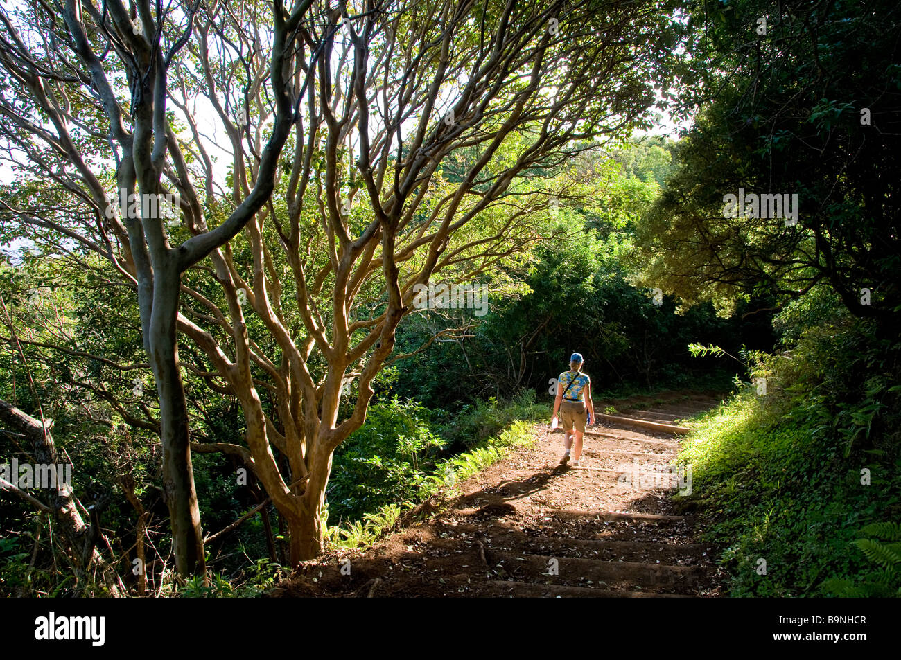 Hiker walks the Pali Trail, Kalaupapa National Historical Park ...
