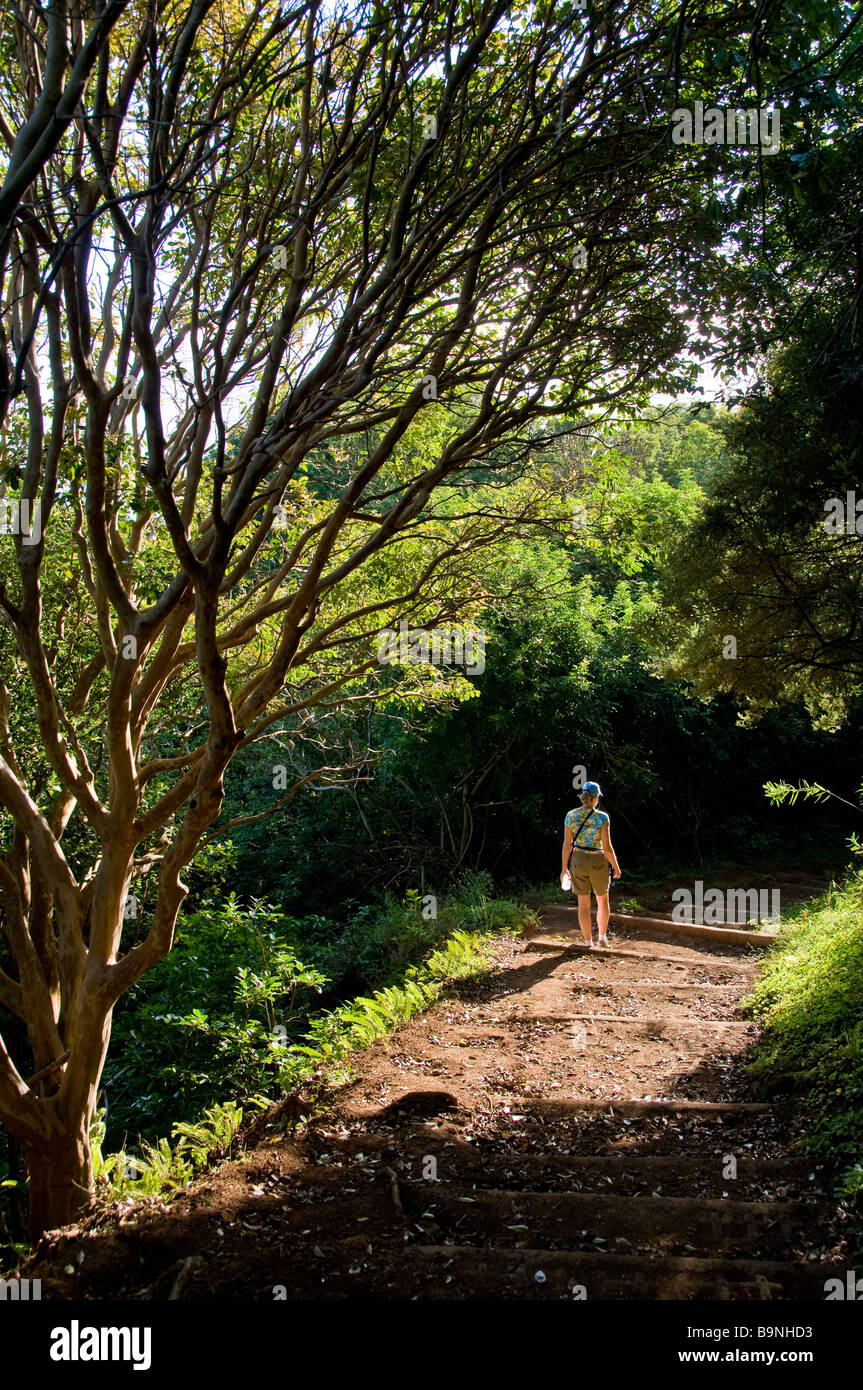 Hiker walks the Pali Trail, Kalaupapa National Historical Park ...