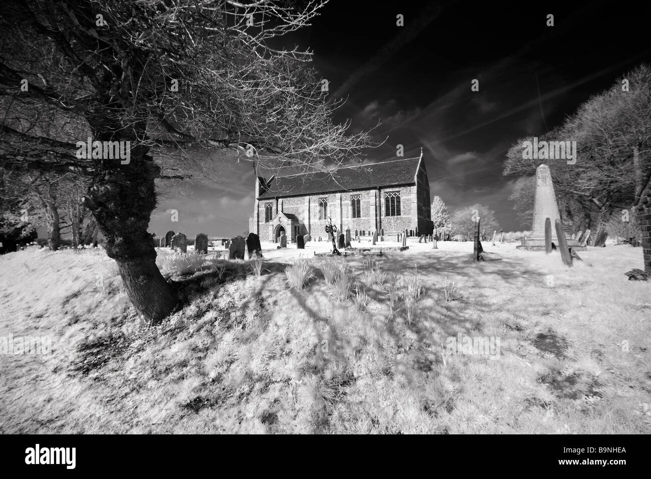 Dilham Church with Daffodils about to bloom" North Walsham" Norfolk, UK ...