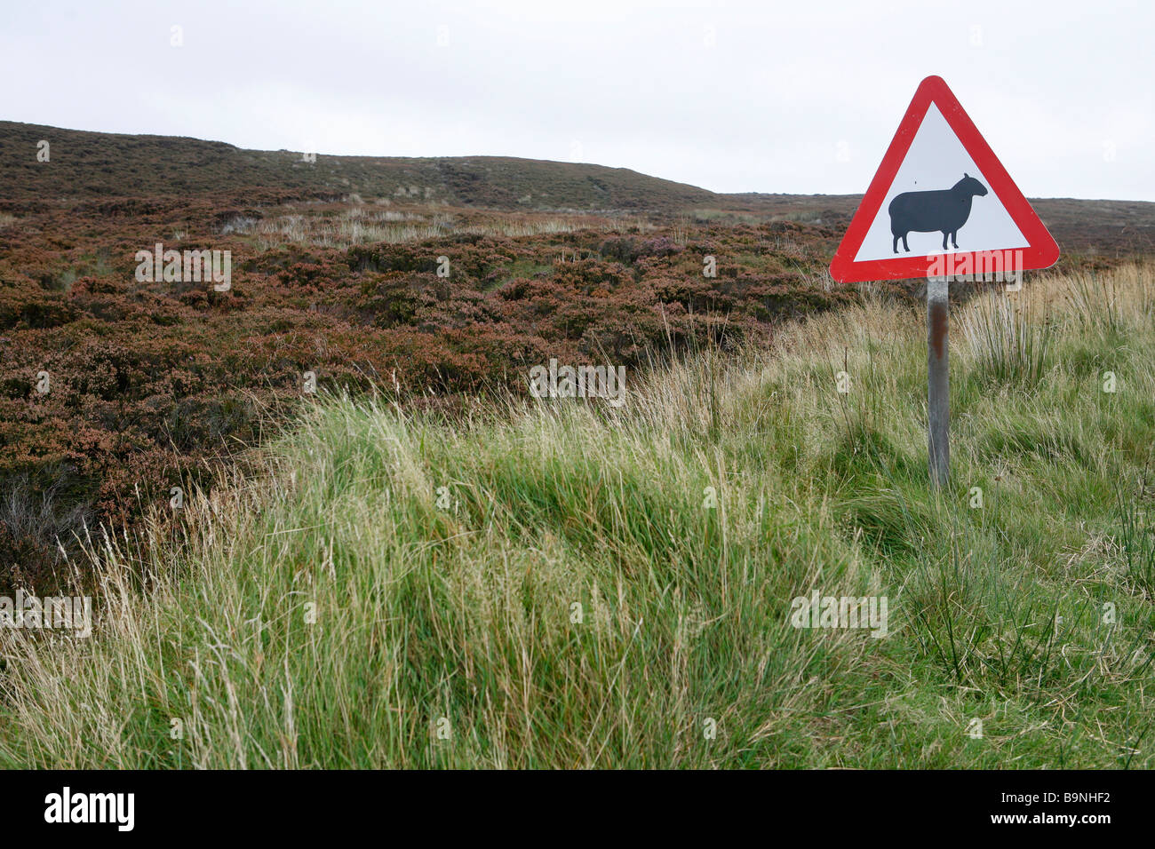 Donegal design hi-res stock photography and images - Alamy