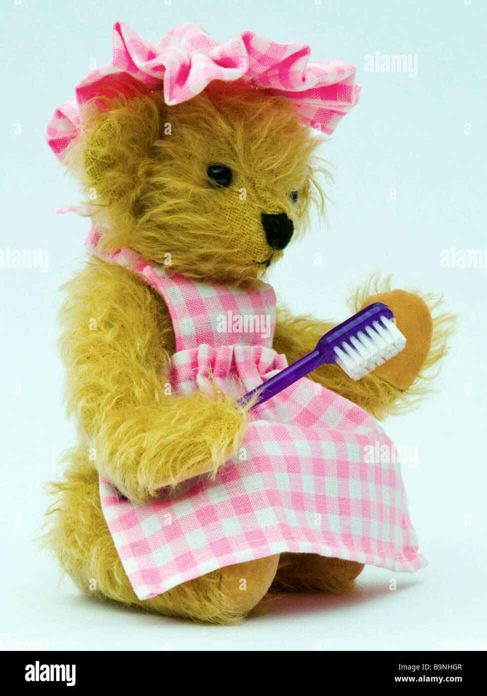 Miniature teddy toothbrush (Mini Bear Collection Stock Photo - Alamy