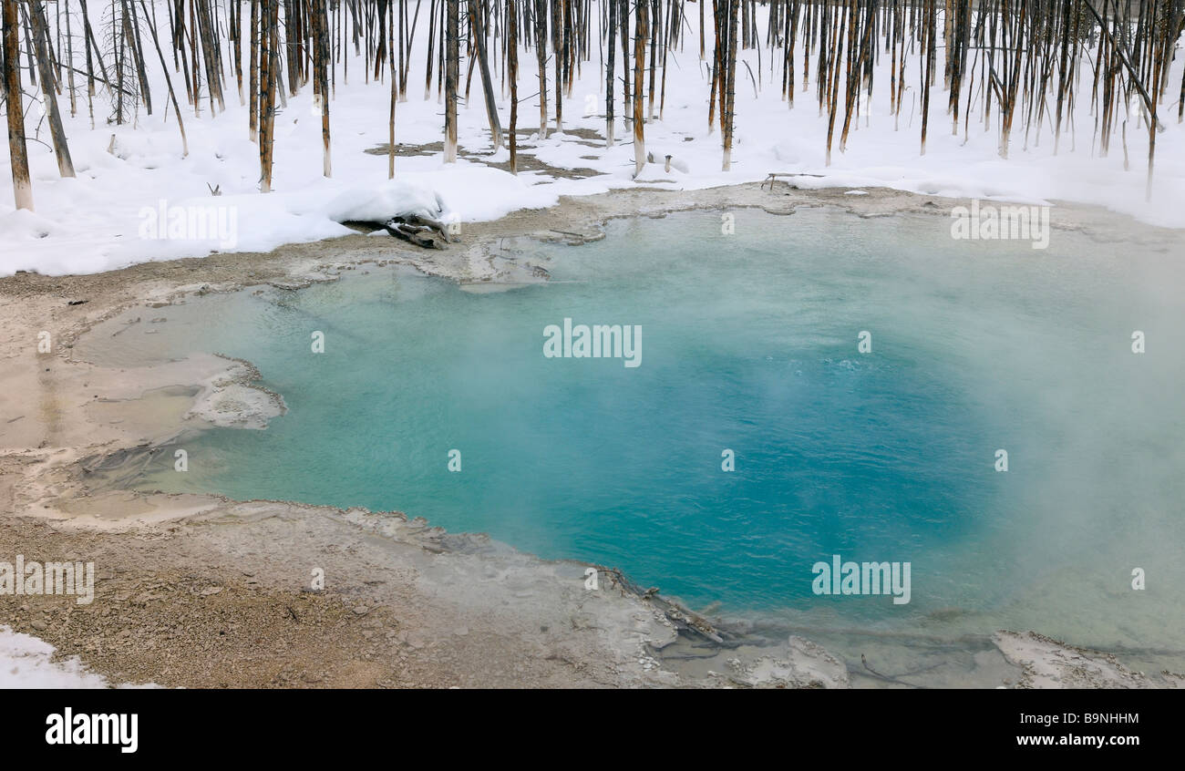 Turquoise water of Cistern Spring with dead trees in winter at Norris ...