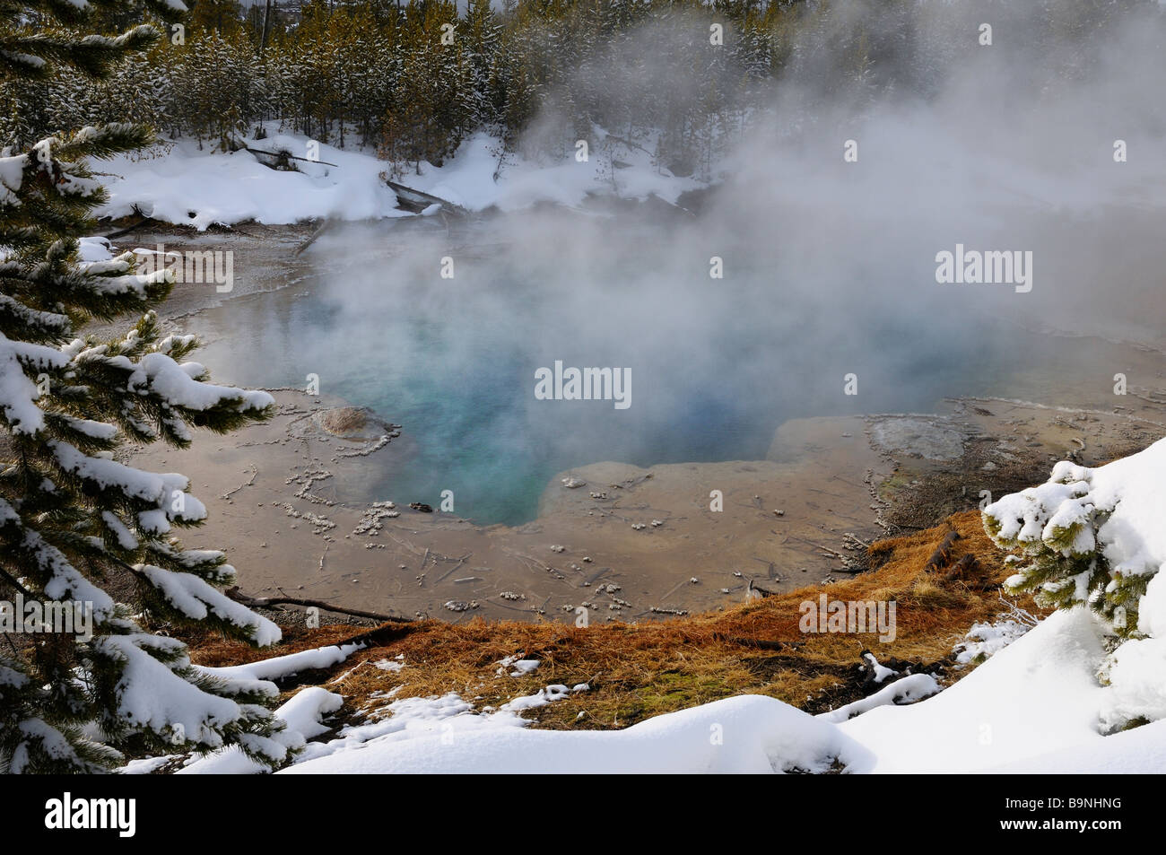 Steaming turquoise water of Emerald Spring in Norris Geyser Basin ...