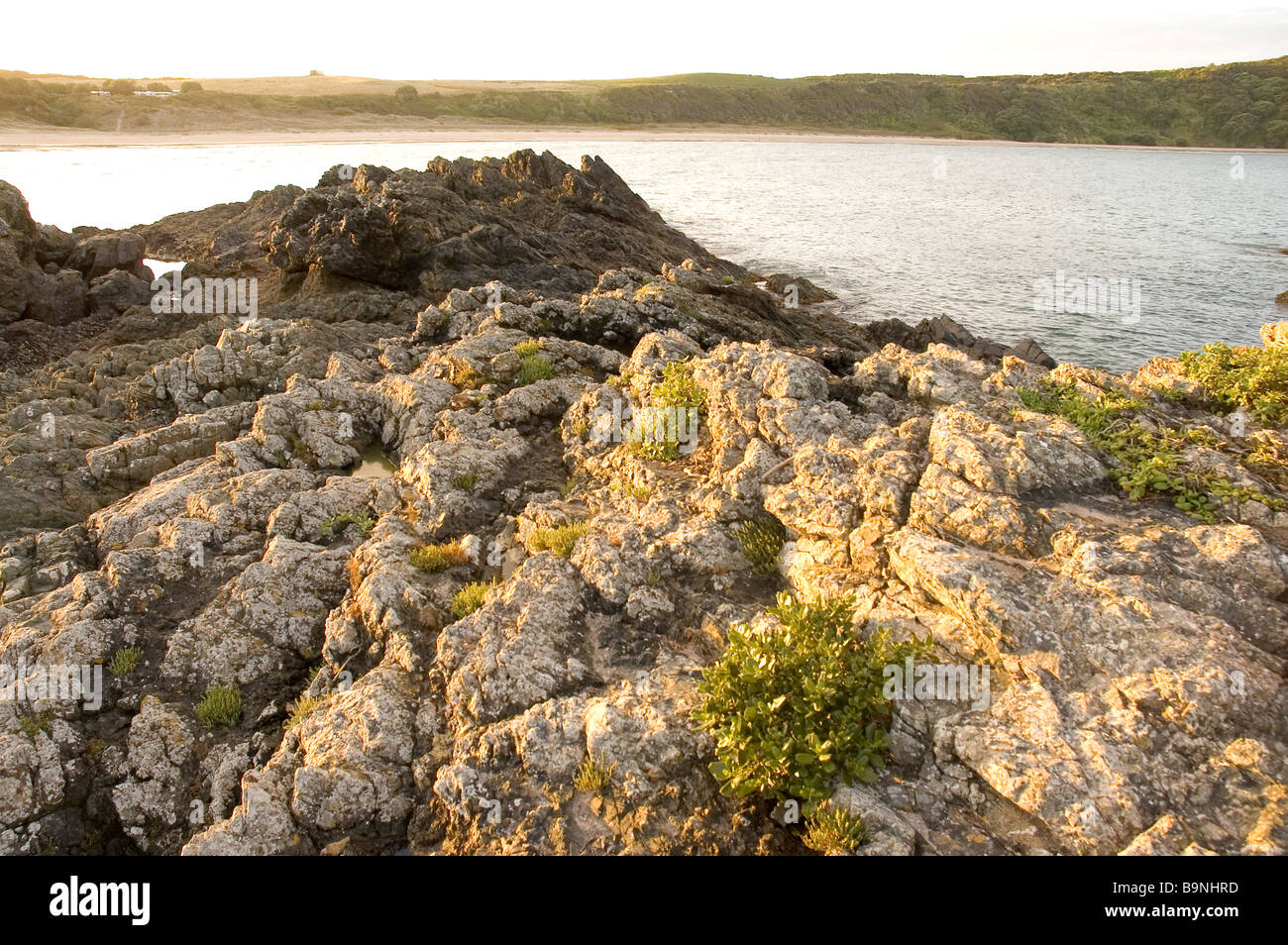 Matai beach hi-res stock photography and images - Alamy