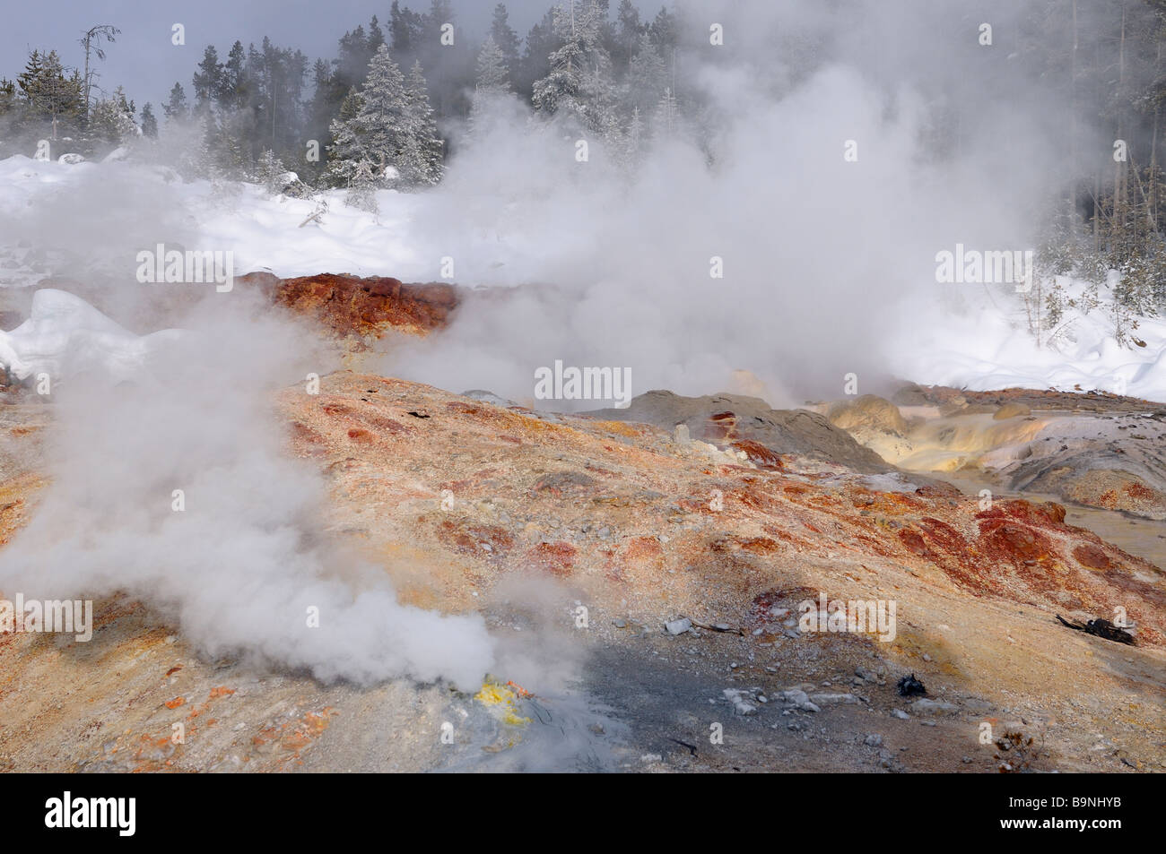 Hot steam in winter from Steamboat Geyser and fumarole in Norris Geyser ...
