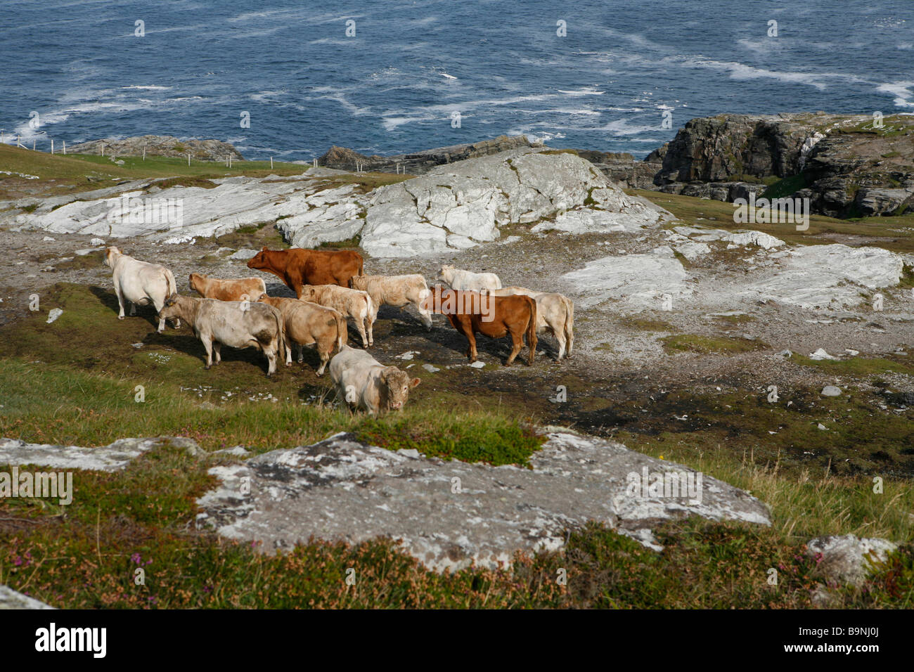 Gaelic culture donegal hi-res stock photography and images - Alamy