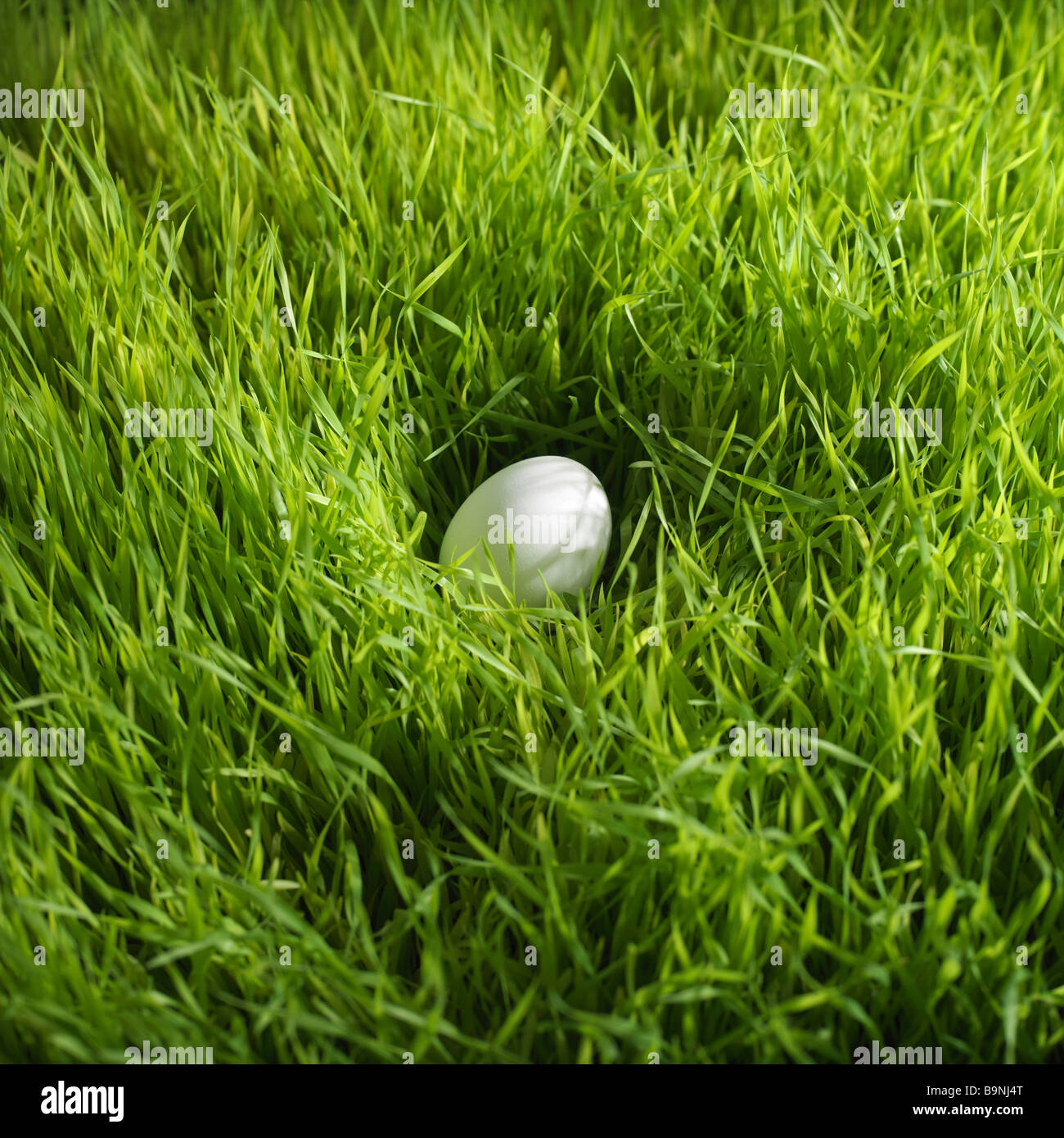 Egg hunt easter white hi-res stock photography and images - Alamy