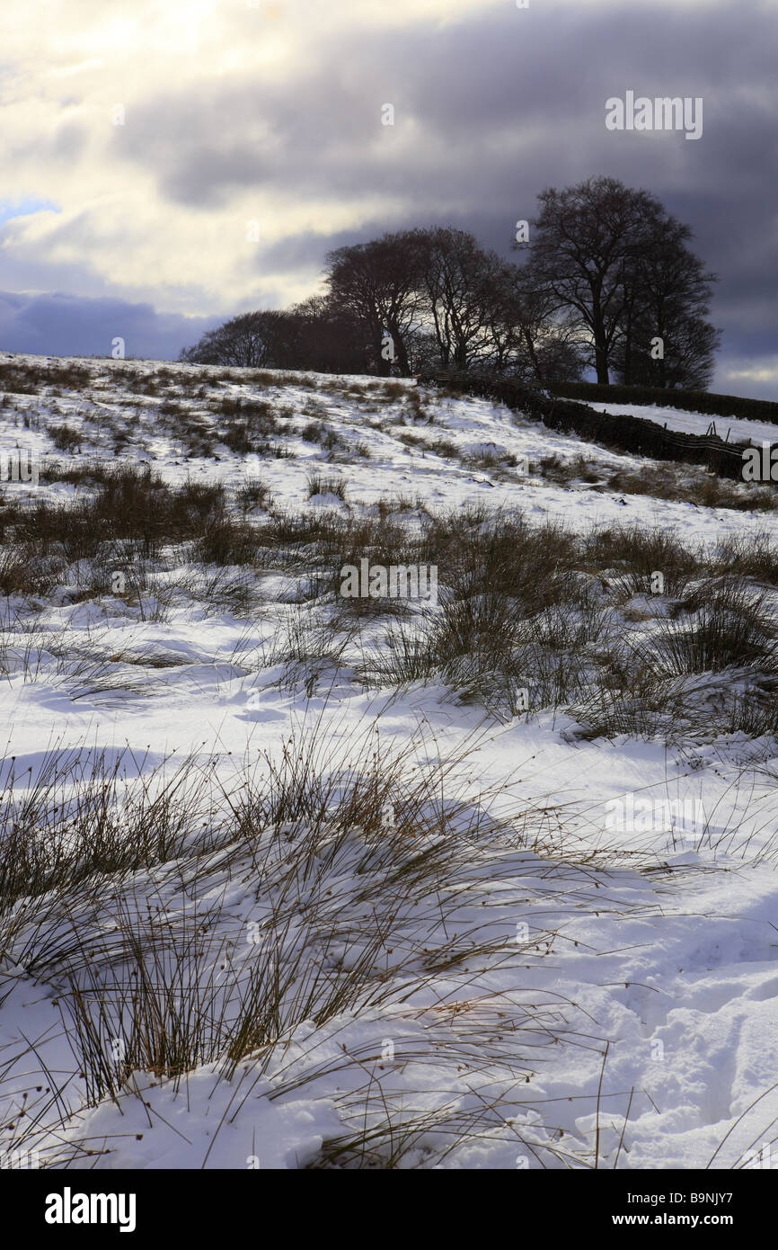 Snowy scene yorkshire hi-res stock photography and images - Alamy