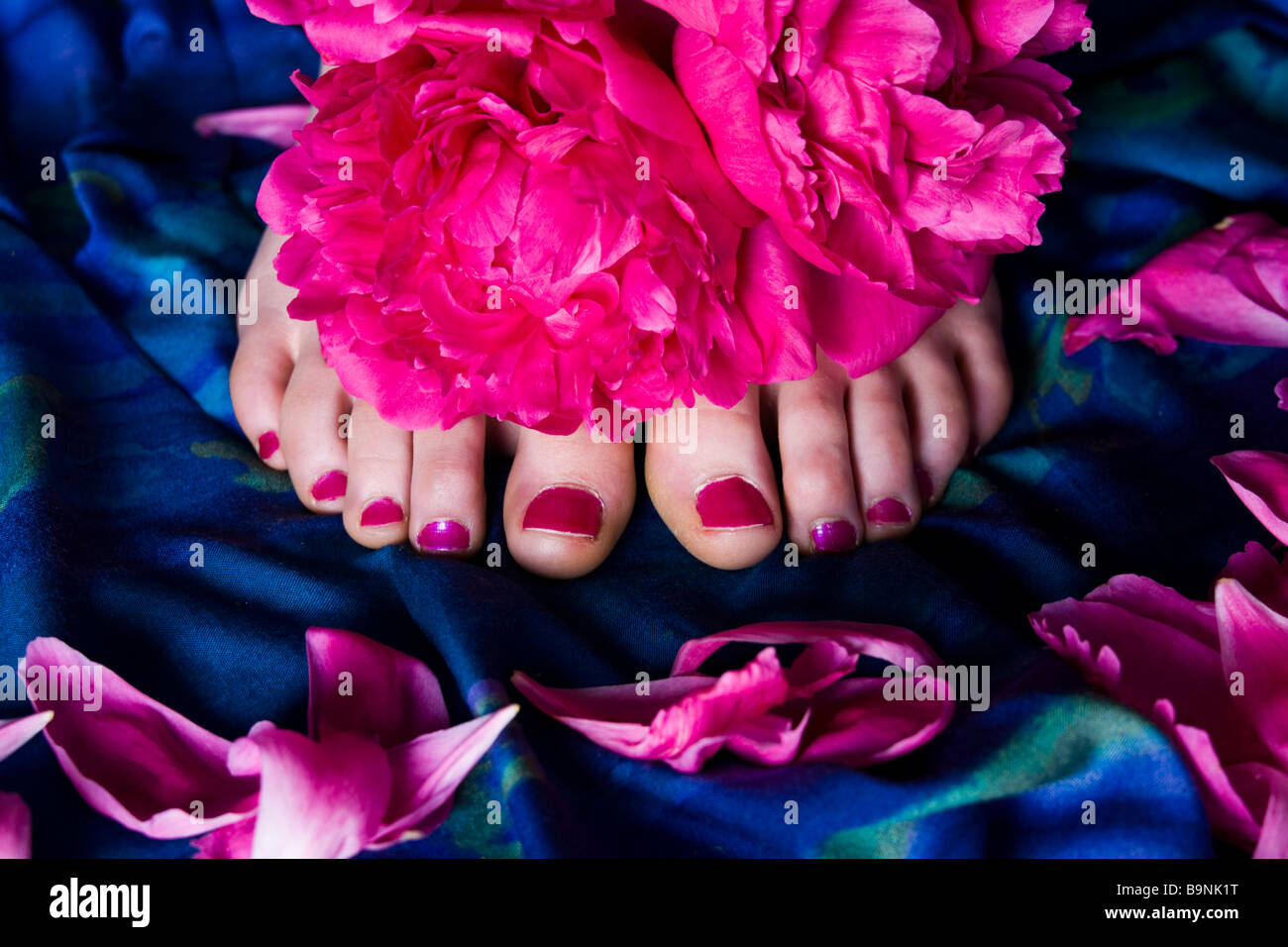 painted toes with pink peonies Stock Photo - Alamy