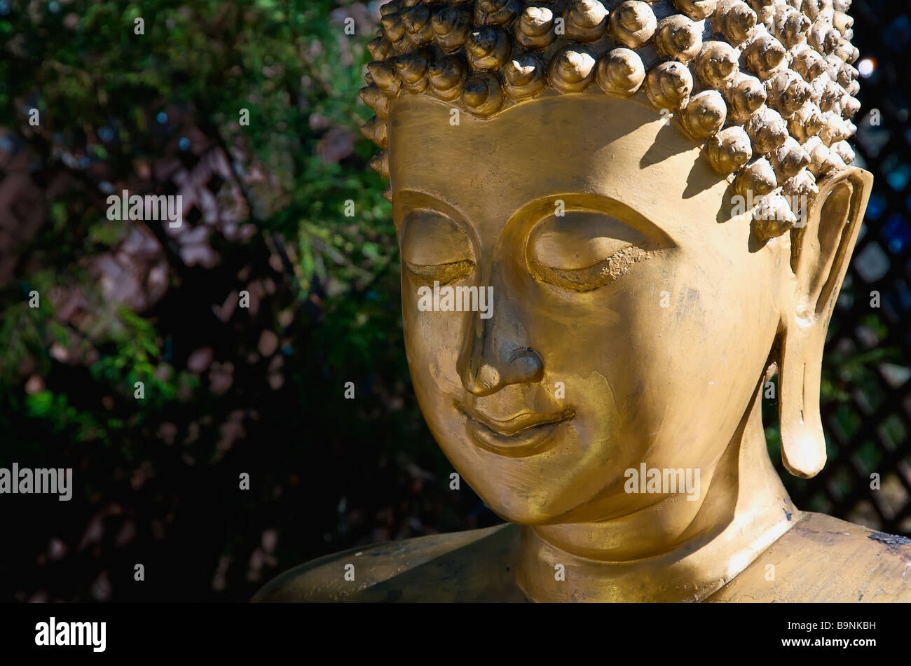 Golden buddha head hi-res stock photography and images - Alamy