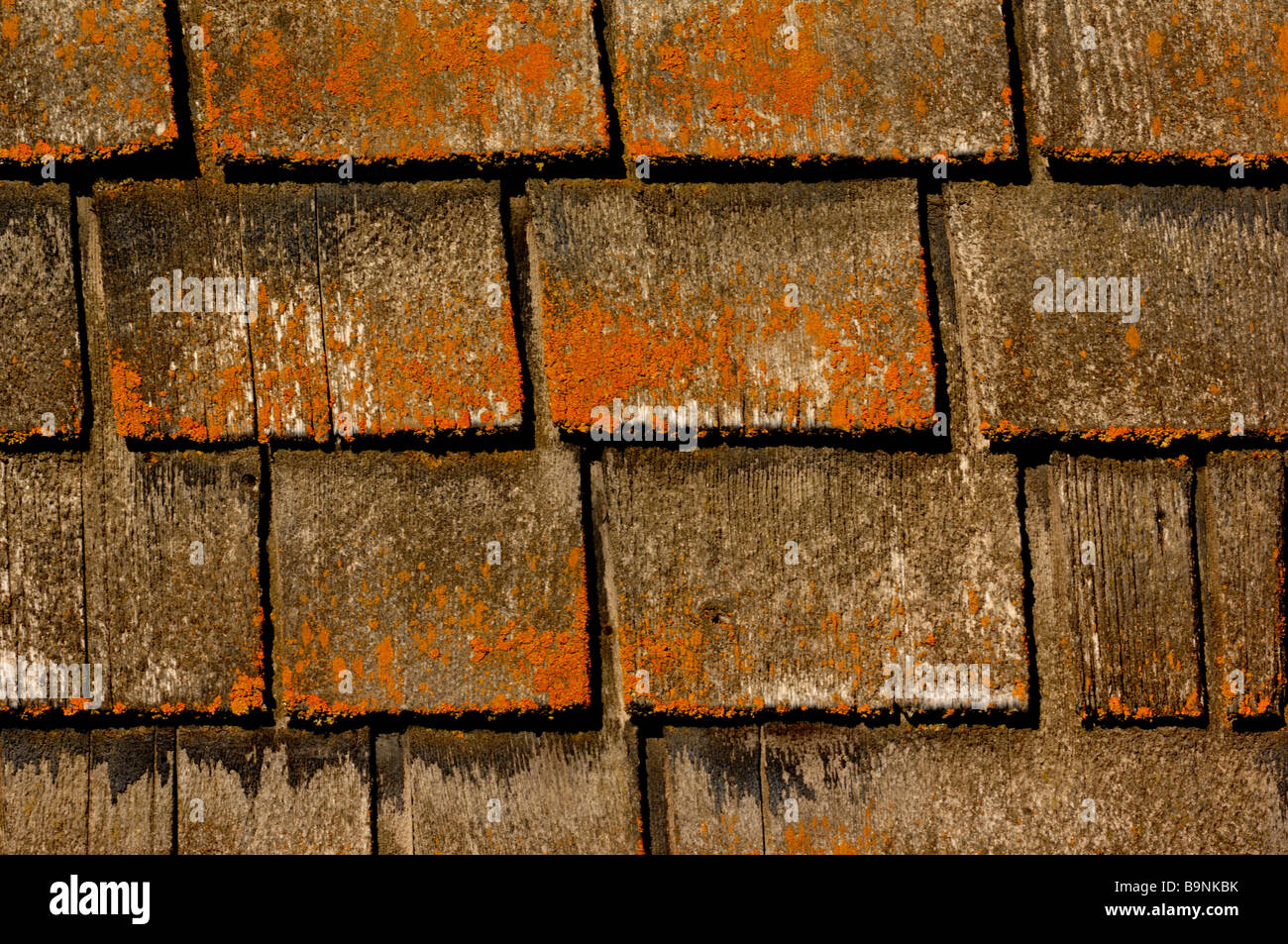 Wooden barn shingles hi-res stock photography and images - Alamy