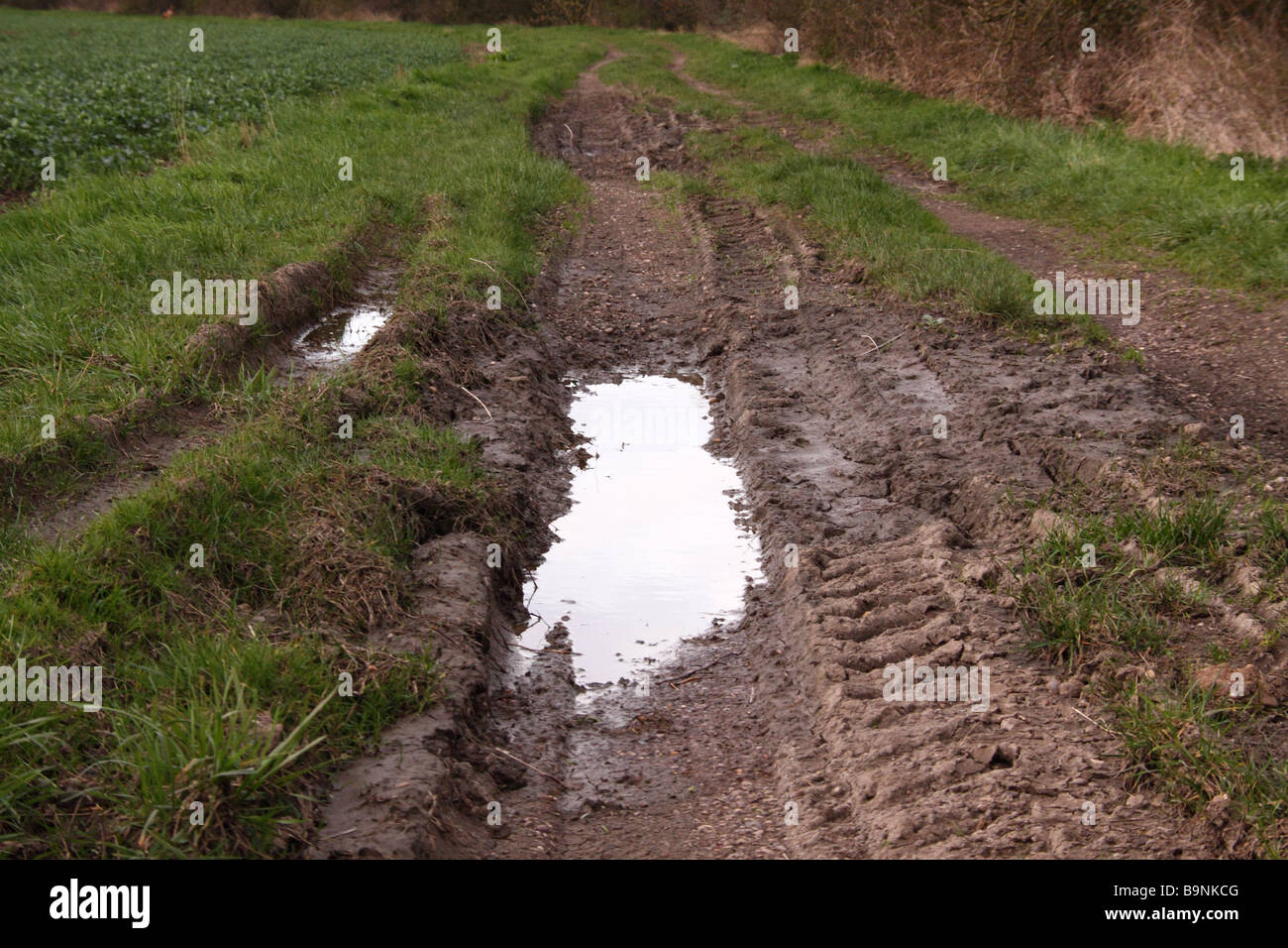 Mud ruts hi-res stock photography and images - Alamy