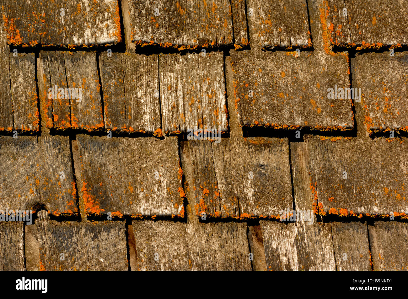 Wooden barn shingles hi-res stock photography and images - Alamy