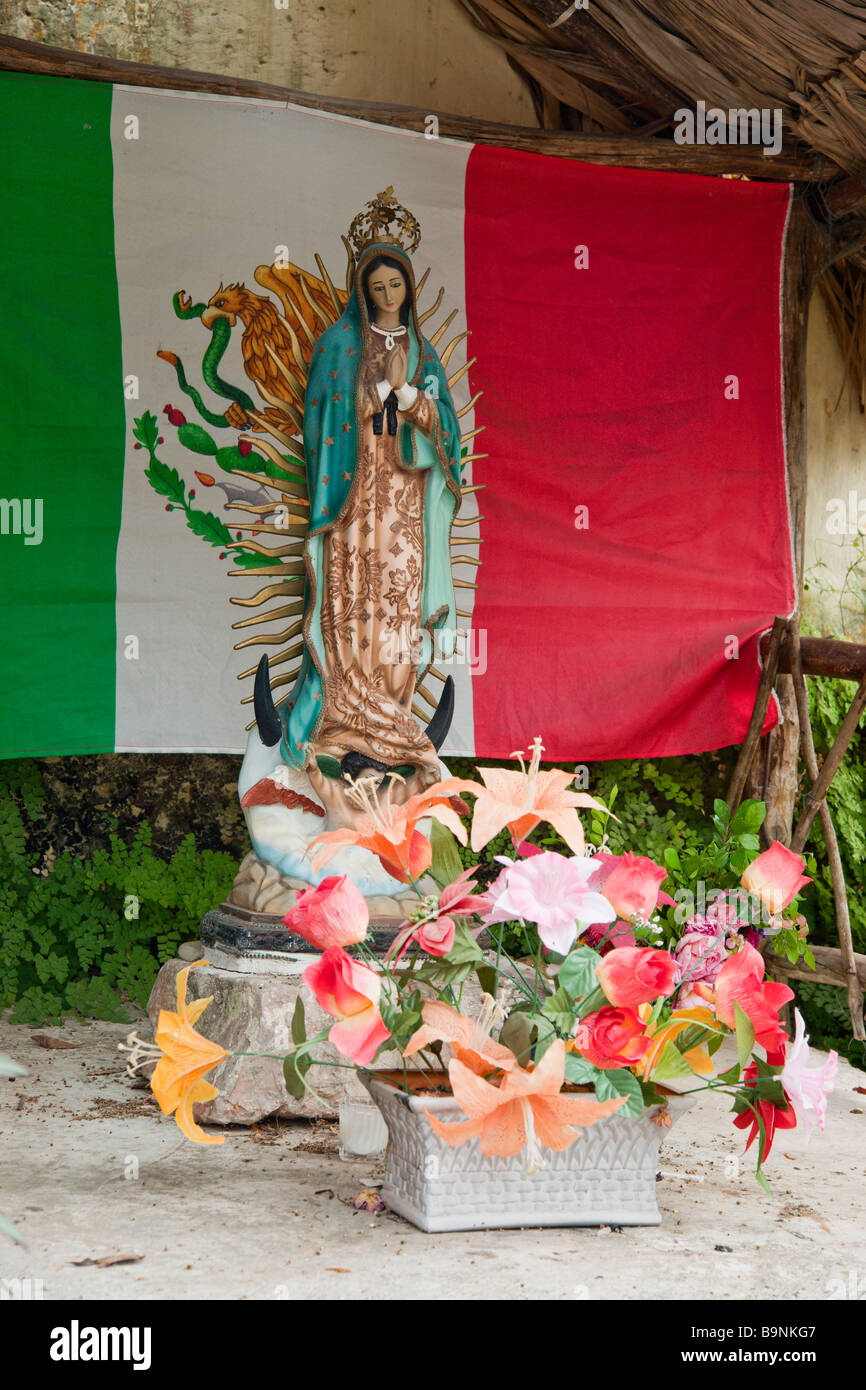 Mexican Flag Virgin Mary