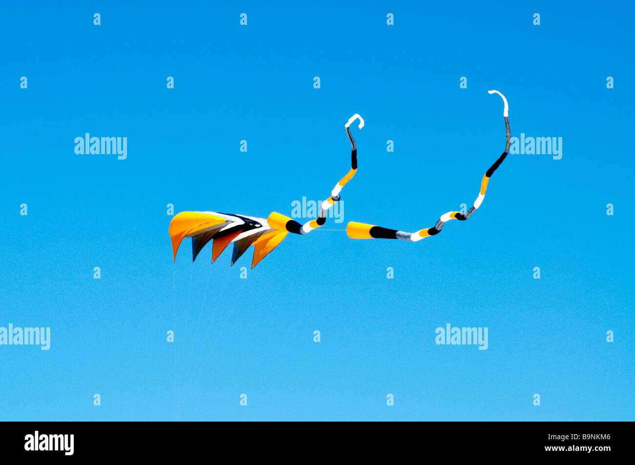Large striped [sled kite] with streamers flying against clear blue sky ...