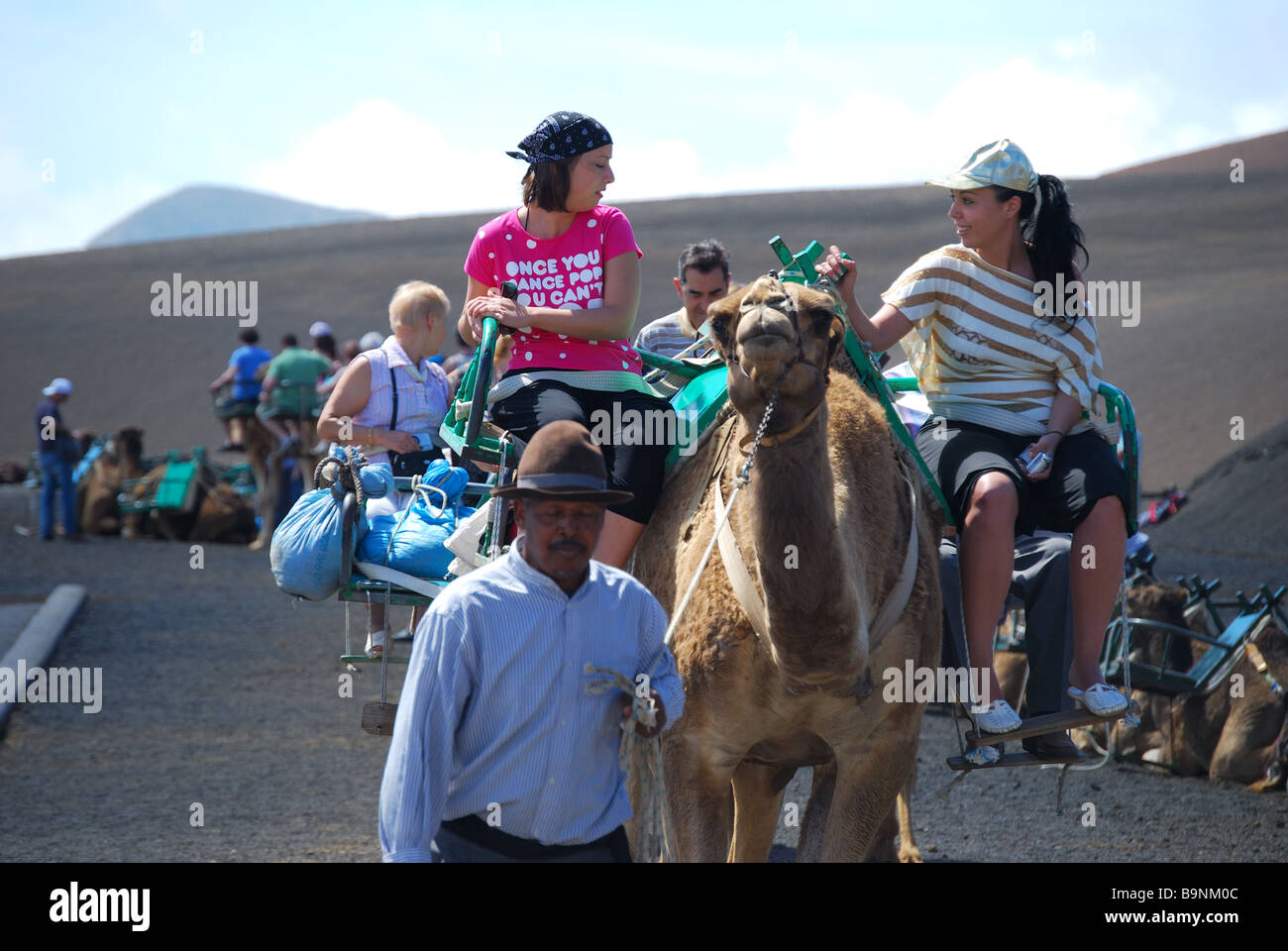 Camel rides, Timanfaya National Park, Lanzarote, Canary islands, Spain ...