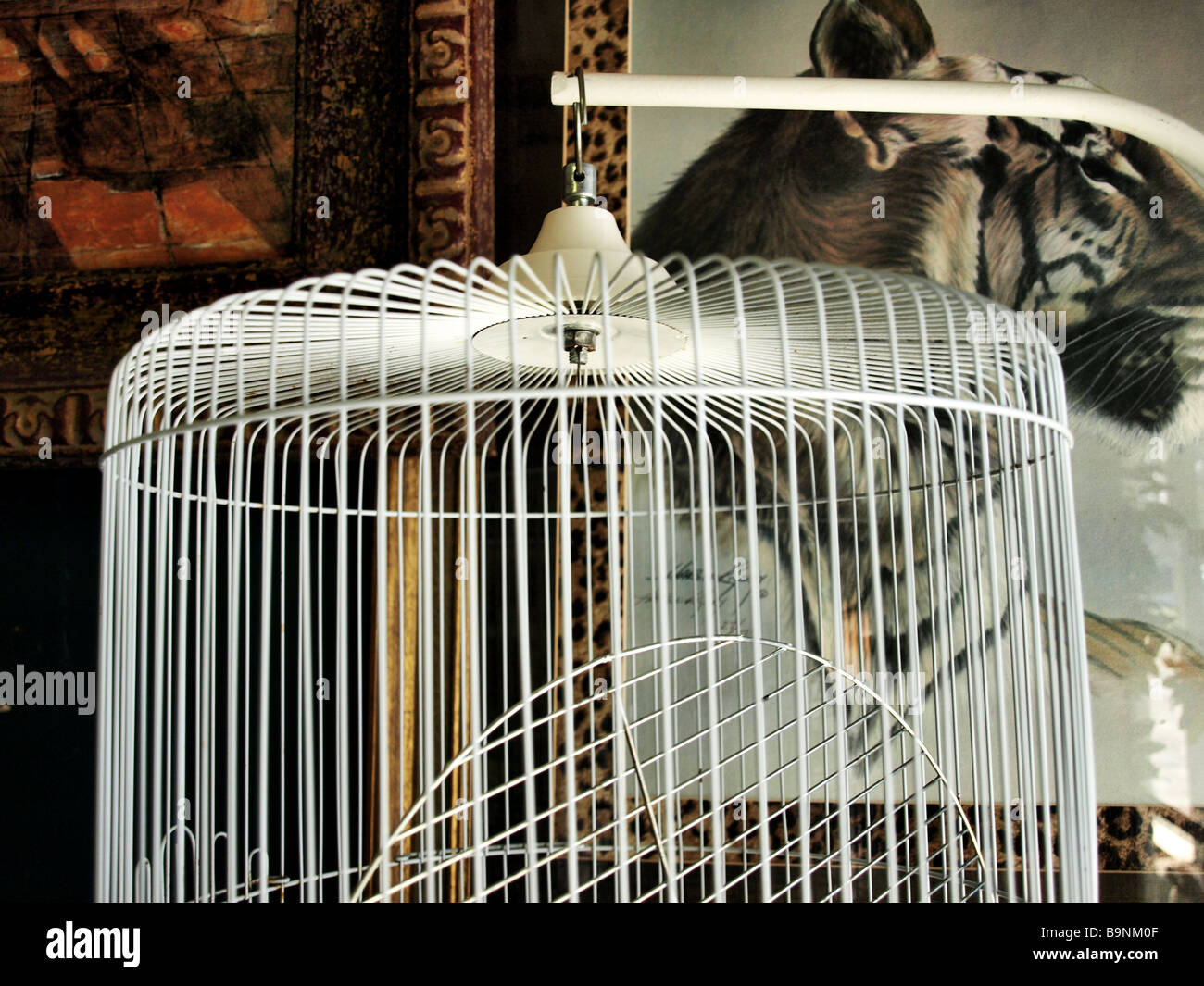 Hanging bird cage hi-res stock photography and images - Alamy