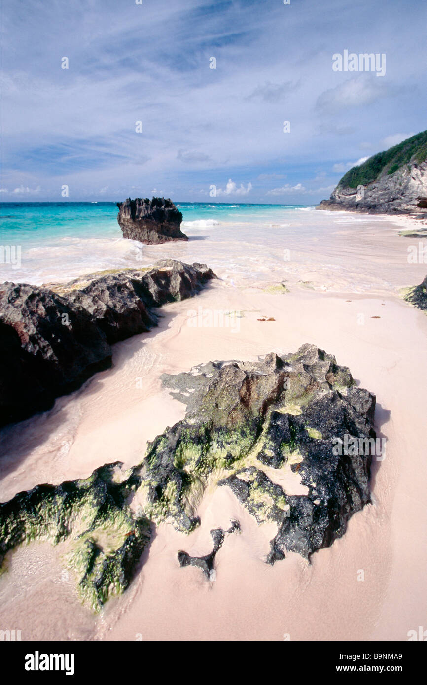 Elbow beach hi-res stock photography and images - Alamy