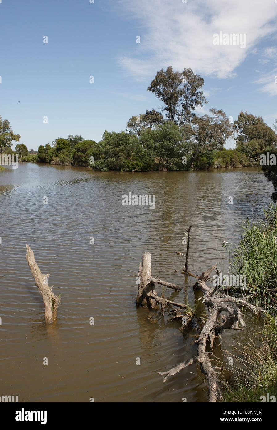 Confluence of the Latrobe River, left, and Thompson River, right, Sale ...